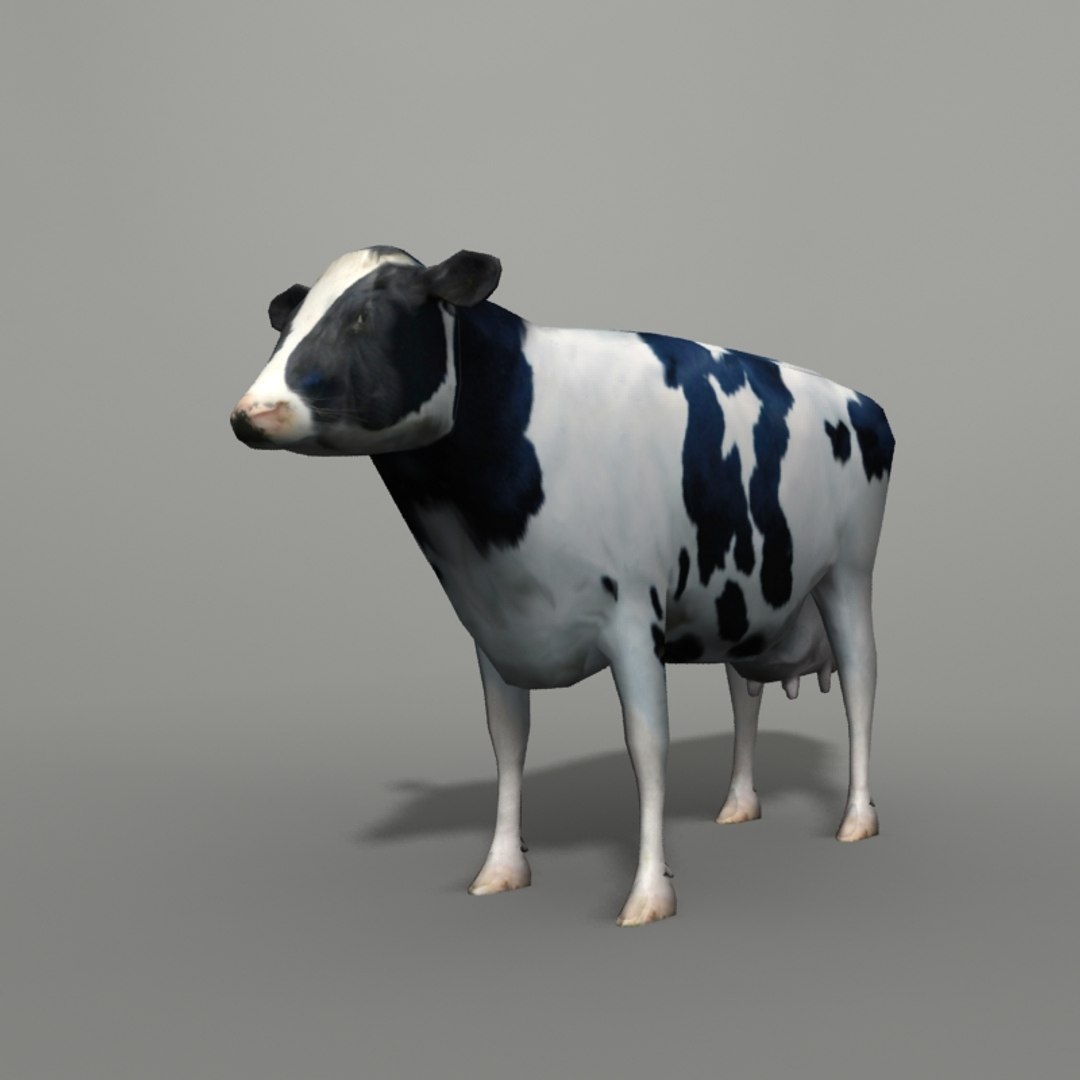 3d Cow Model