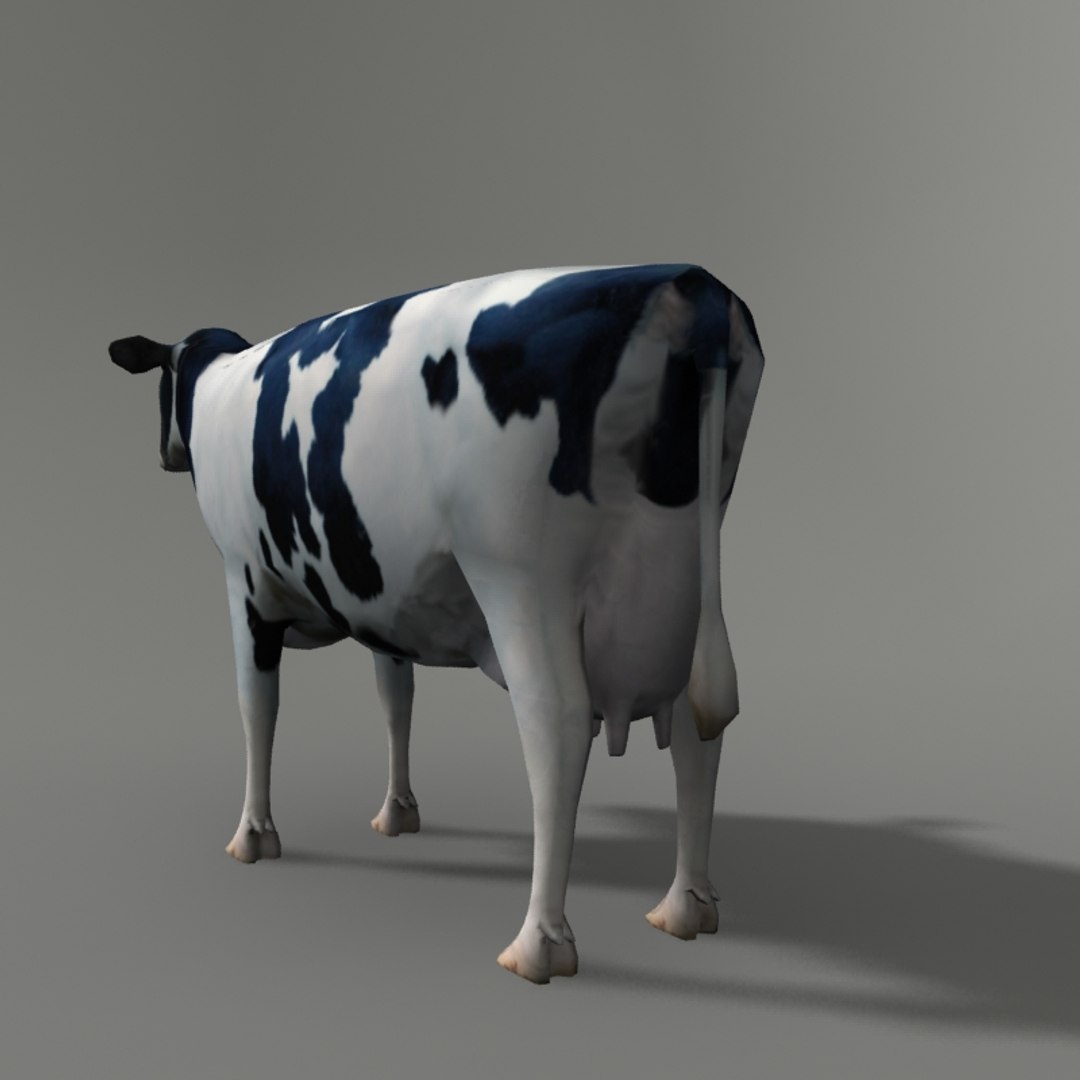 3d Cow Model