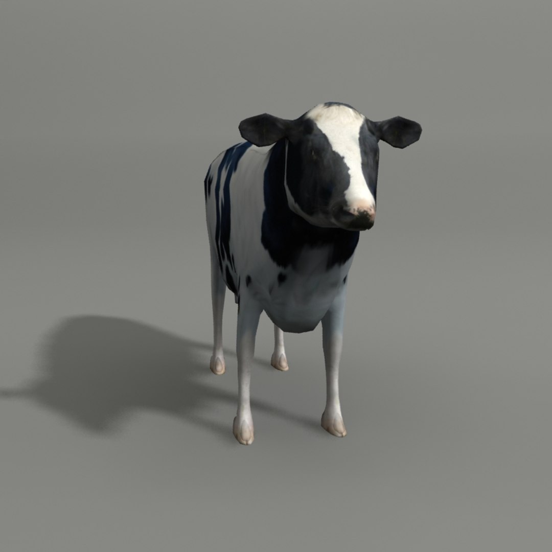 3d Cow Model