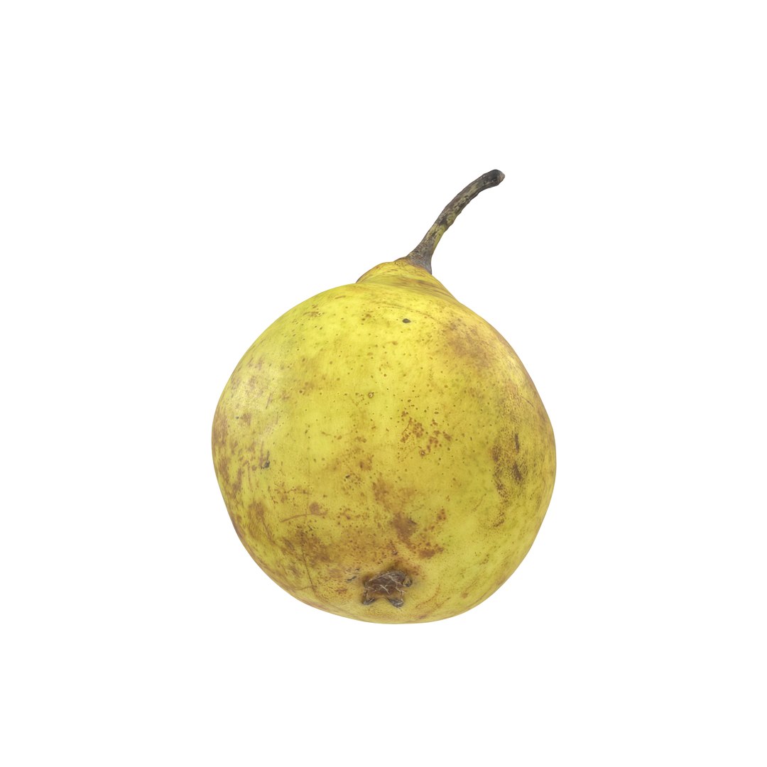 3D Green Pear Model - TurboSquid 2401635