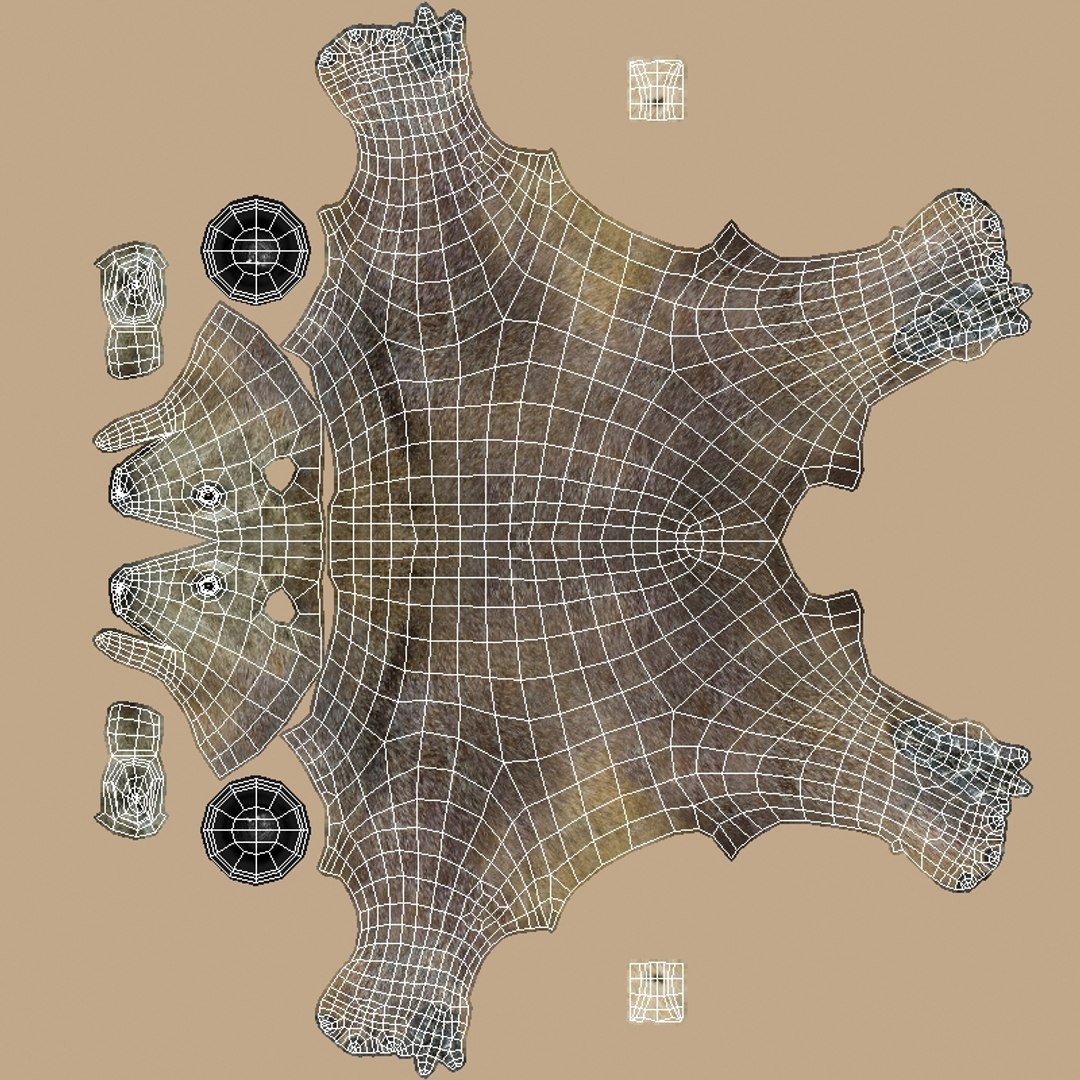 Rock Hyrax 3D Model - TurboSquid 1456439