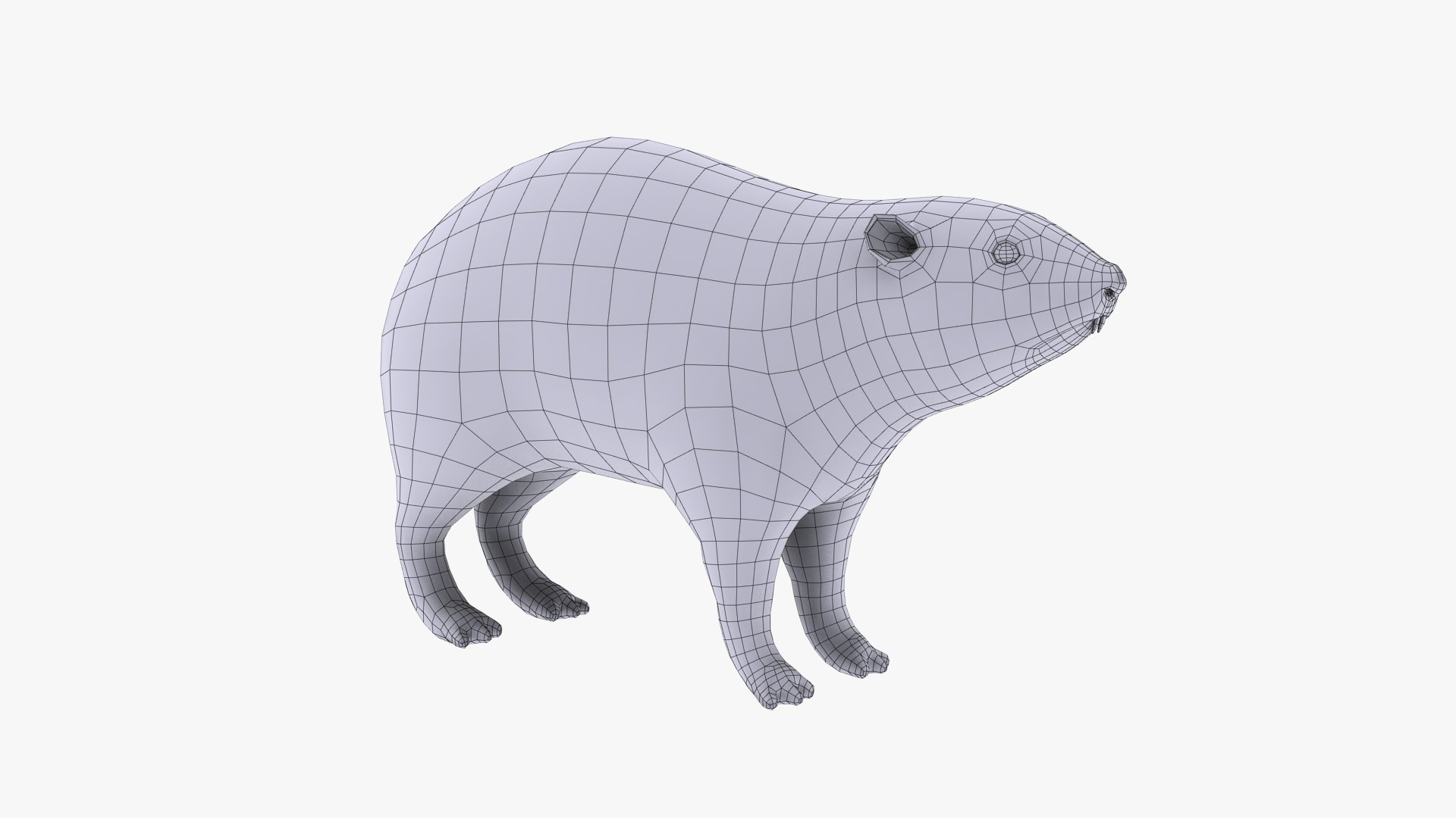 Rock Hyrax 3D Model - TurboSquid 1456439