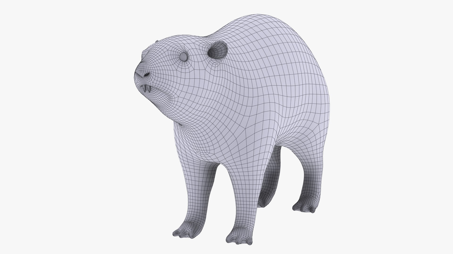 Rock Hyrax 3D Model - TurboSquid 1456439