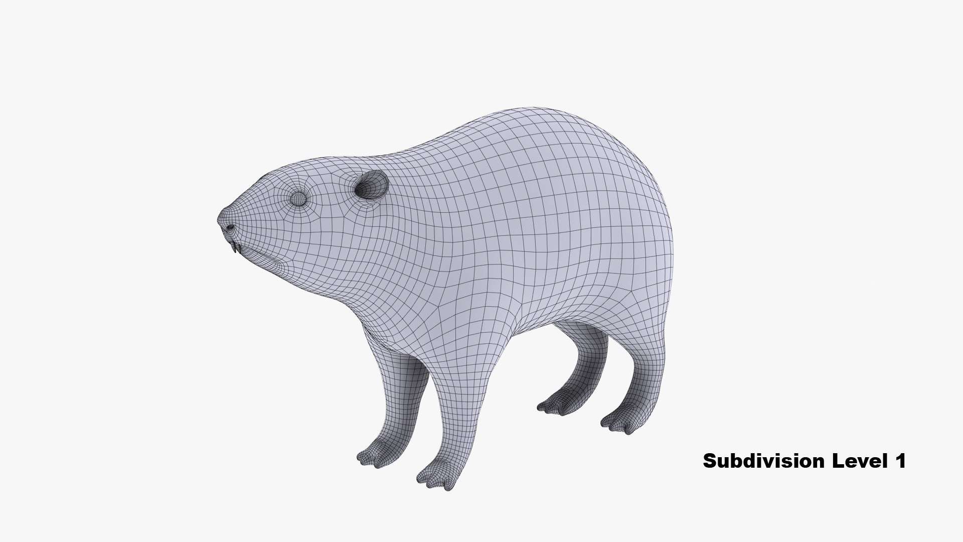 Rock Hyrax 3D Model - TurboSquid 1456439