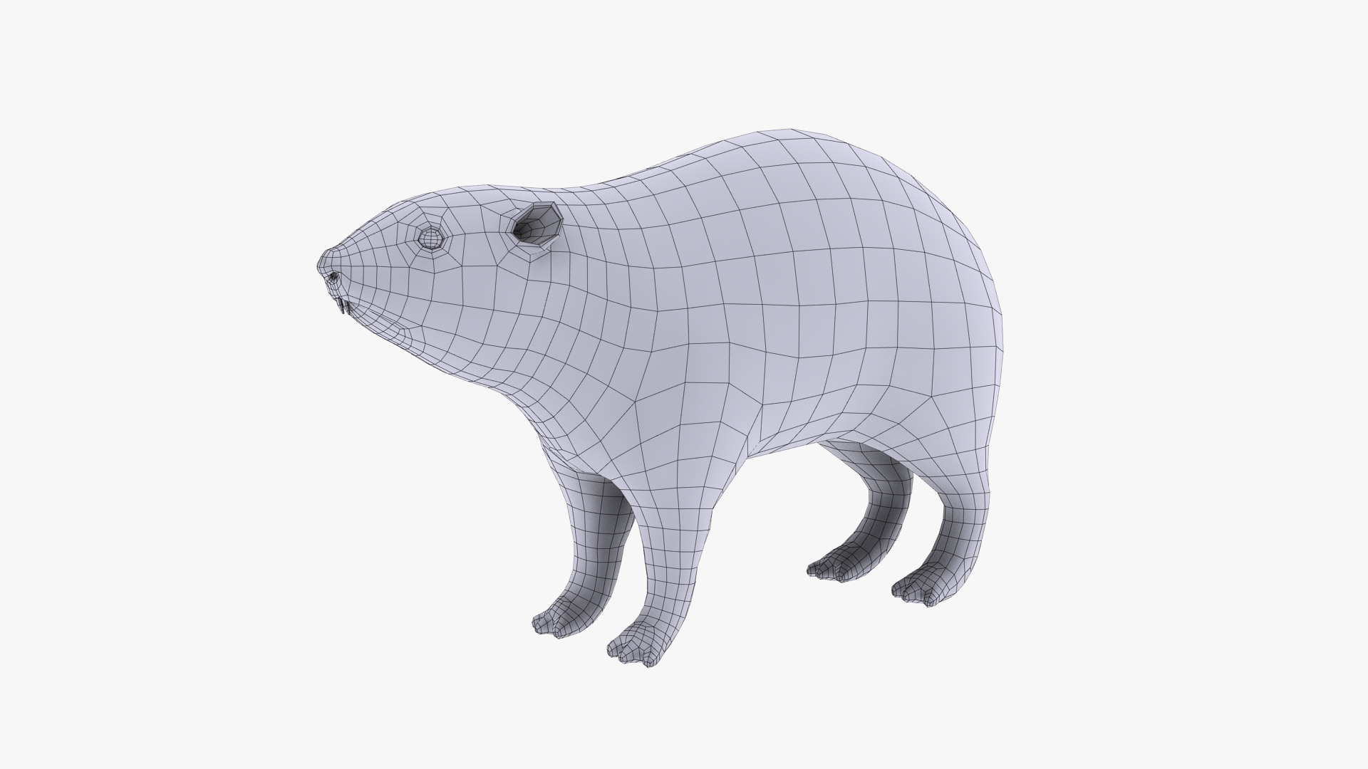 Rock Hyrax 3D Model - TurboSquid 1456439