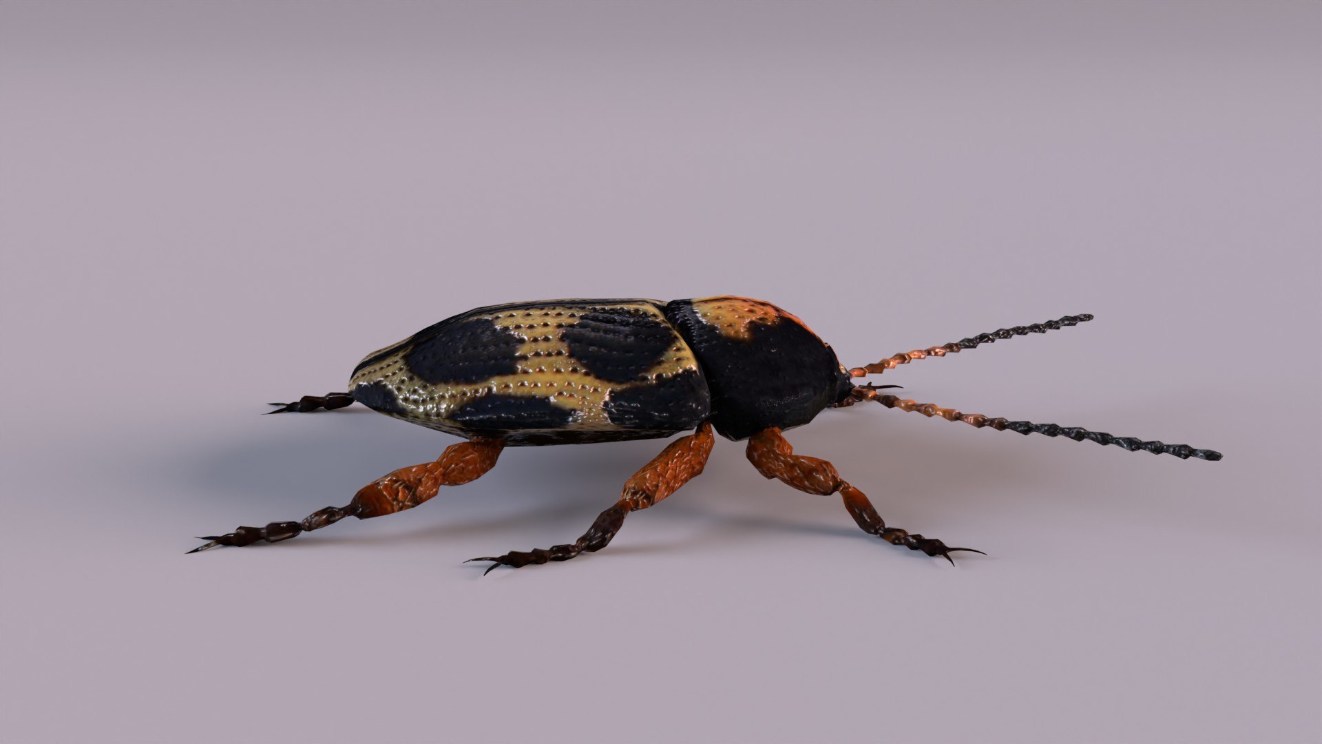 3D ten-spotted pot beetle model - TurboSquid 1535645