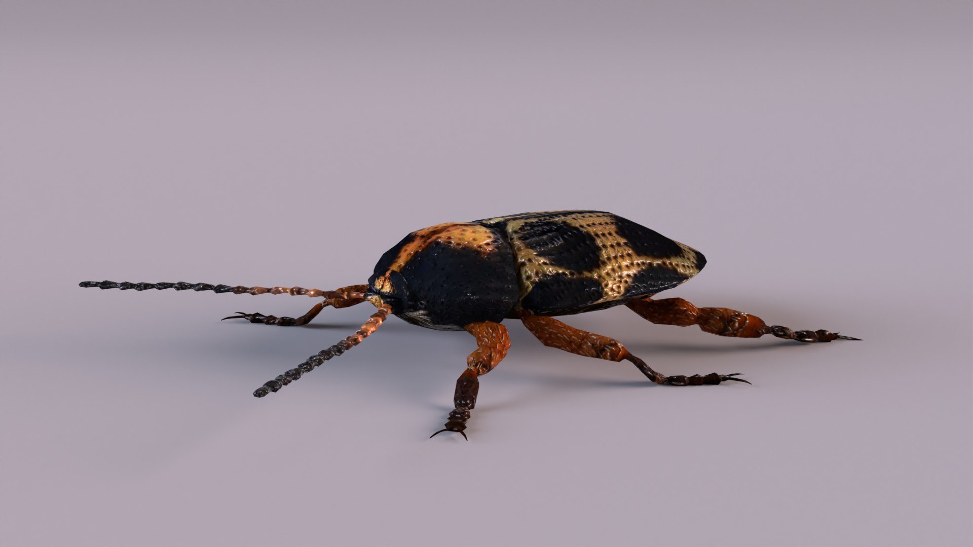 3D ten-spotted pot beetle model - TurboSquid 1535645