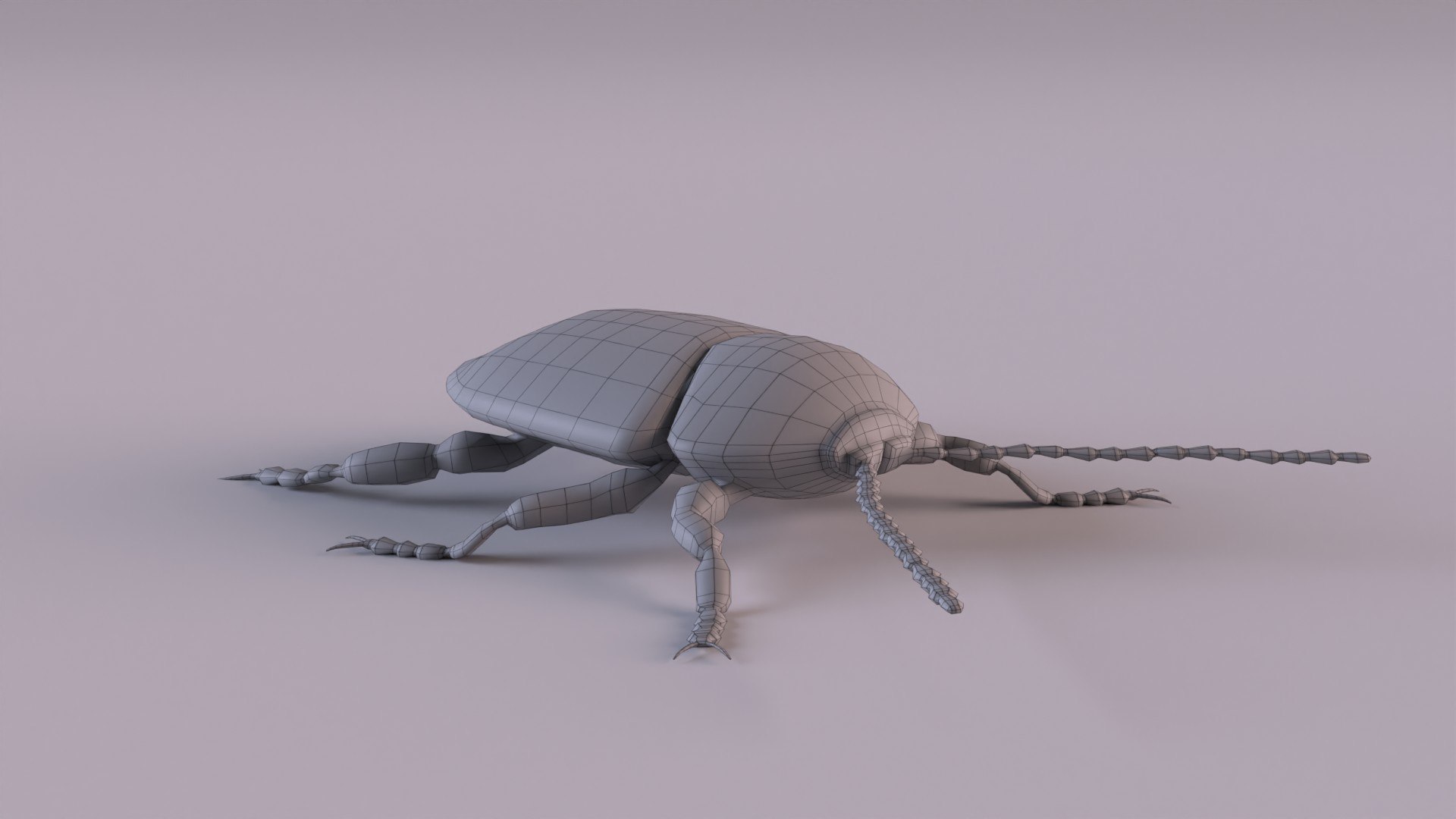3D ten-spotted pot beetle model - TurboSquid 1535645