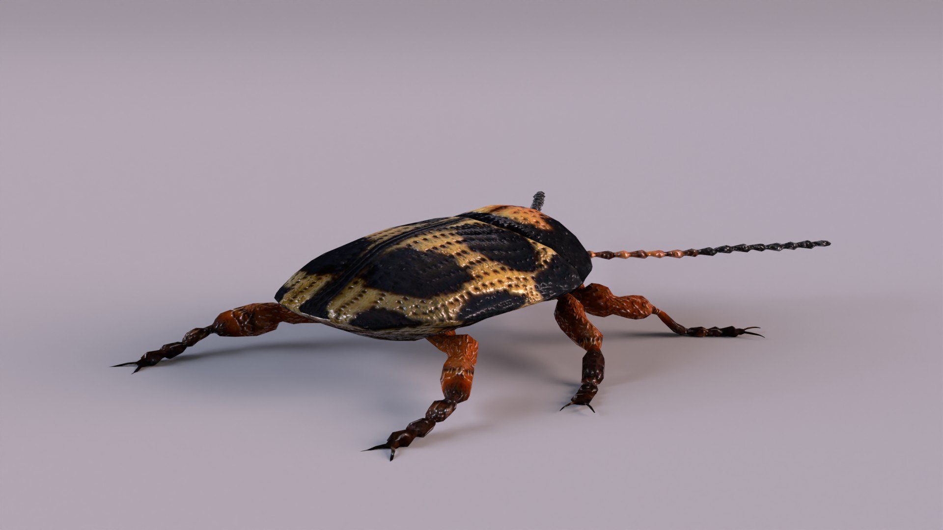 3D ten-spotted pot beetle model - TurboSquid 1535645