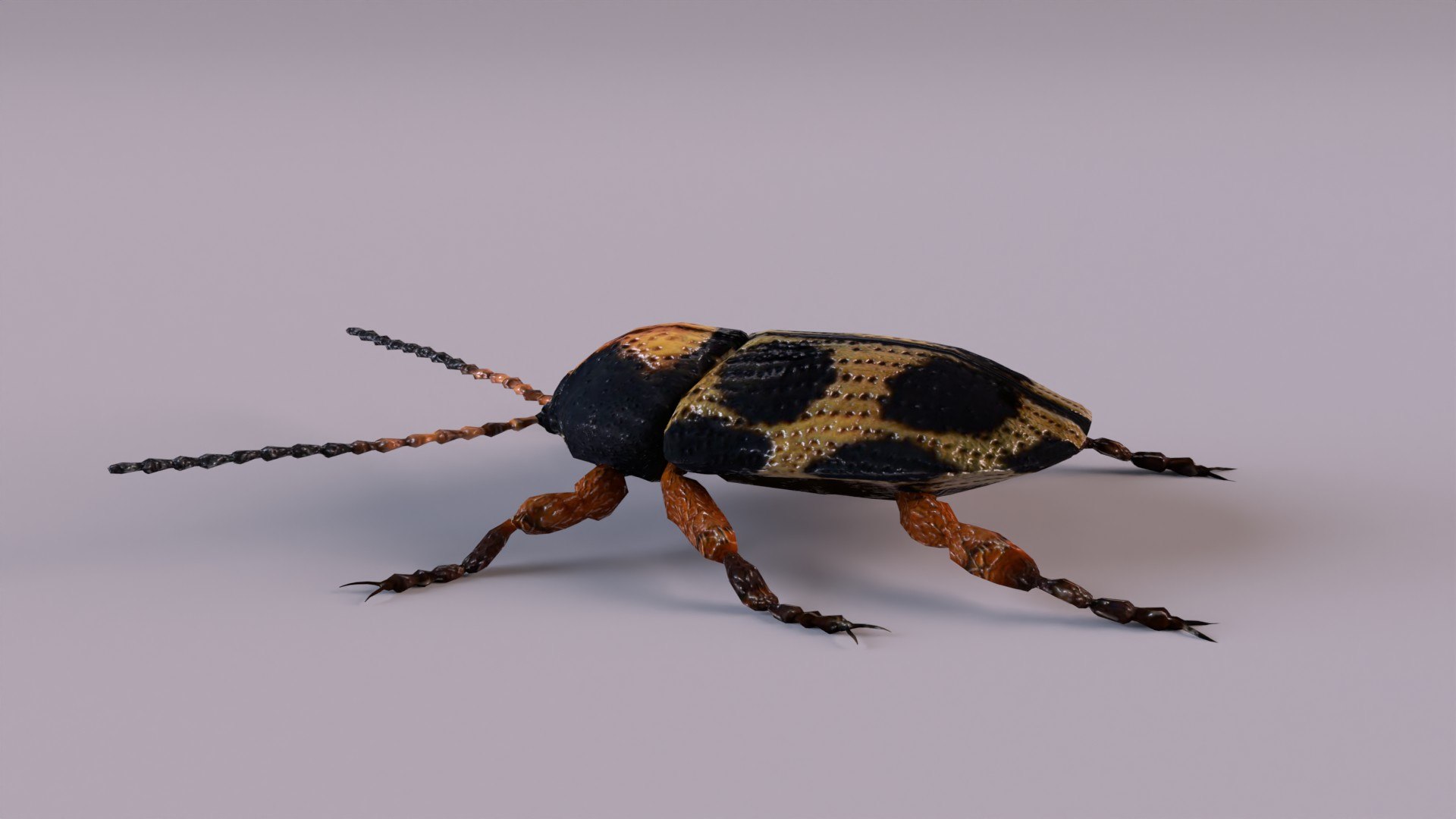 3D ten-spotted pot beetle model - TurboSquid 1535645