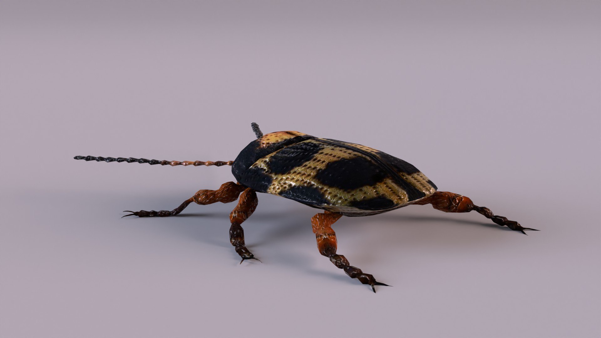 3D ten-spotted pot beetle model - TurboSquid 1535645