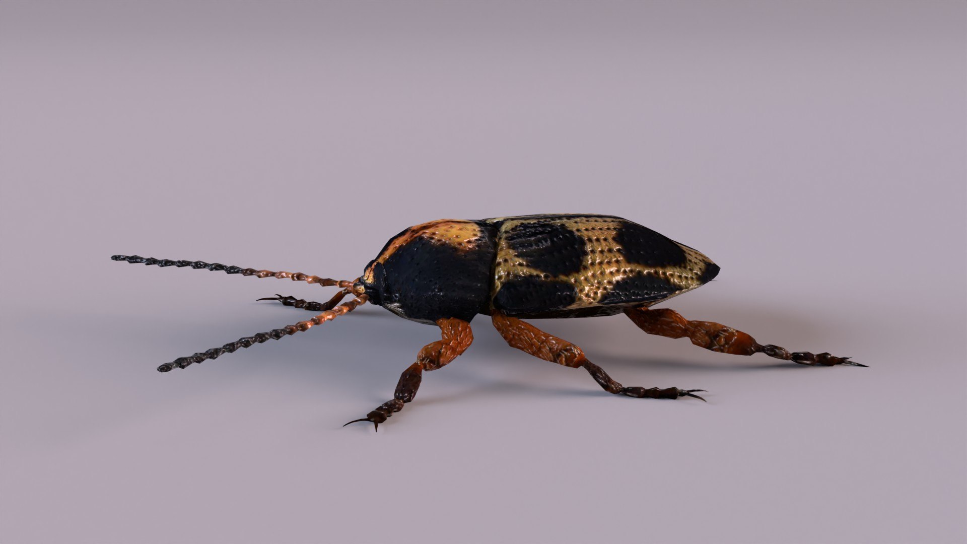 3D ten-spotted pot beetle model - TurboSquid 1535645
