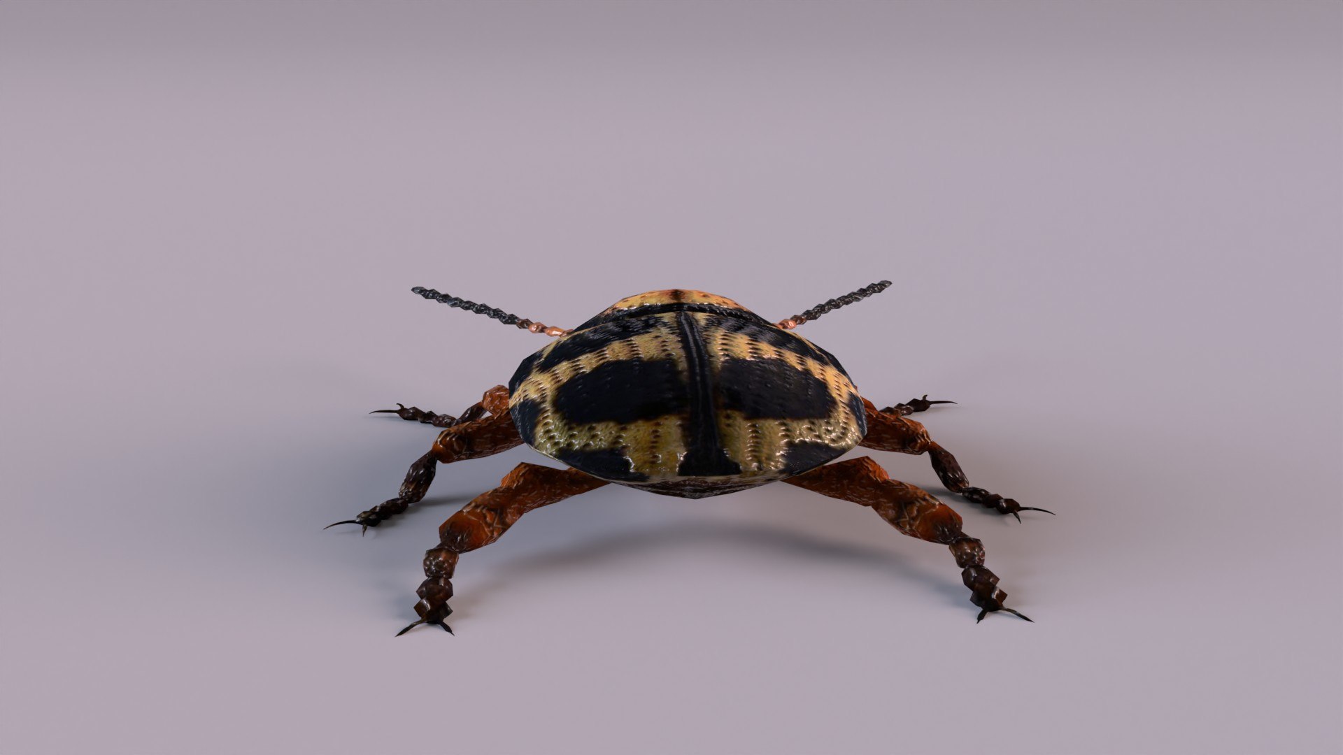 3D ten-spotted pot beetle model - TurboSquid 1535645