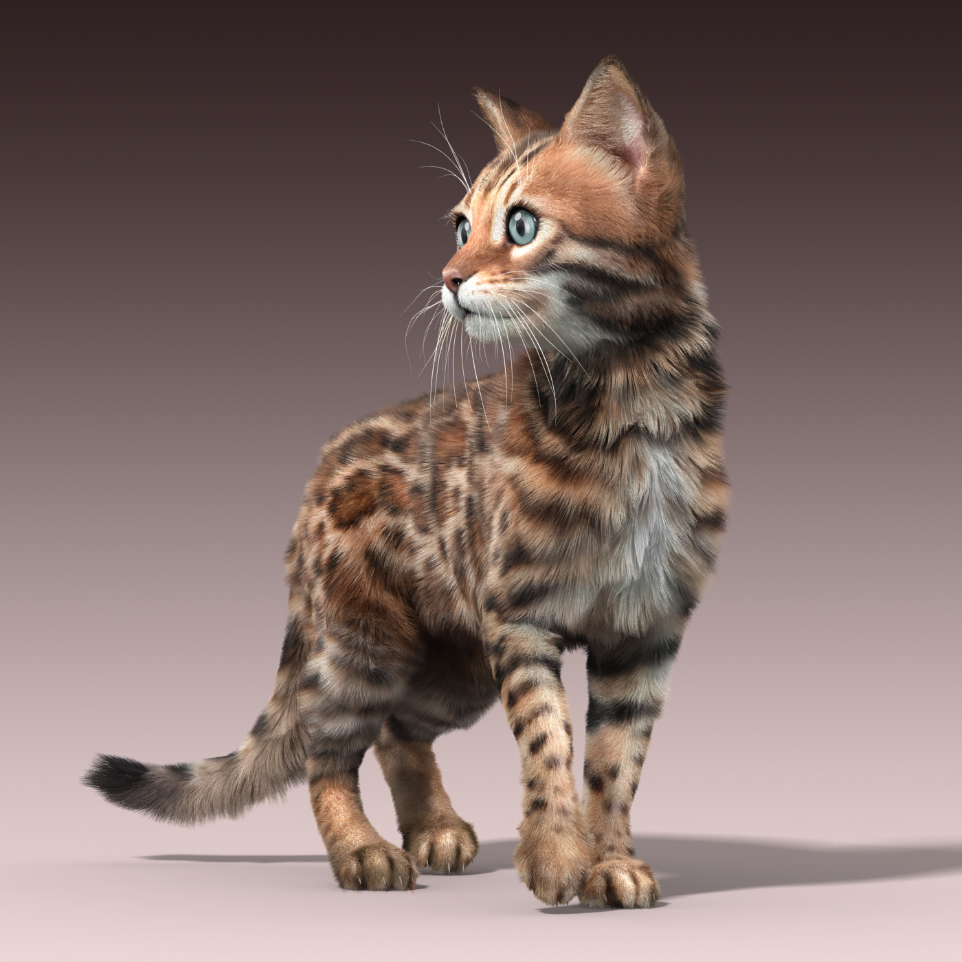 3d bengal cat 2 fur model