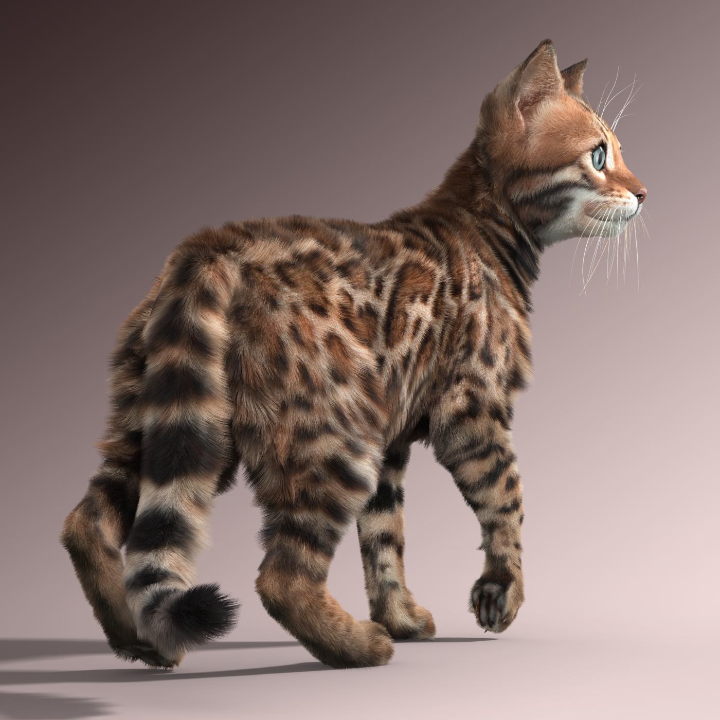 3d bengal cat 2 fur model