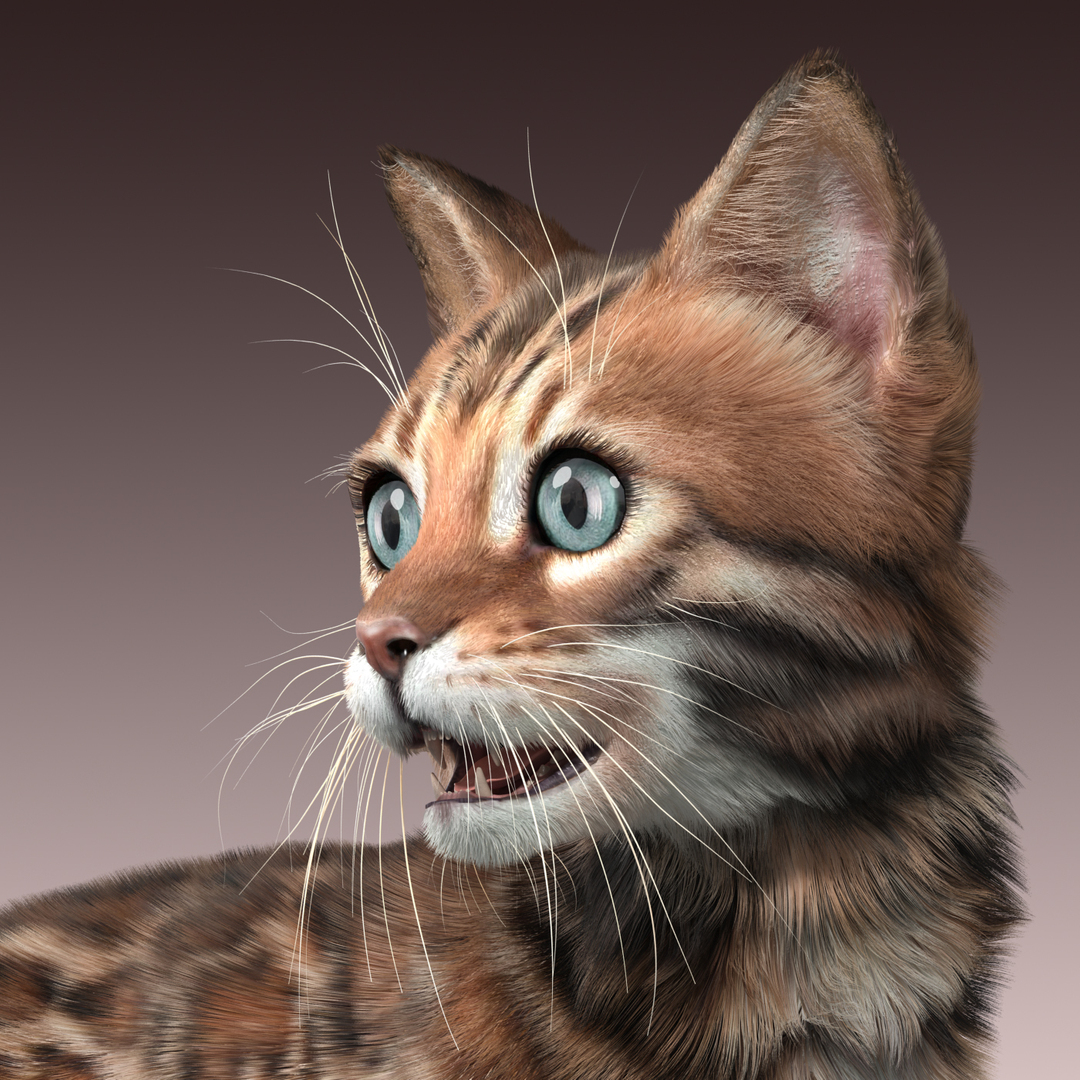 3d bengal cat 2 fur model