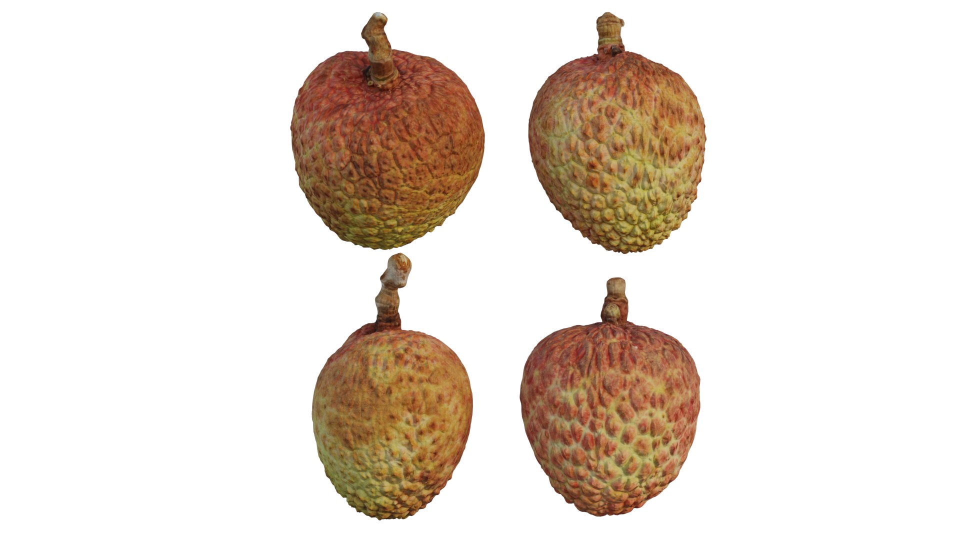 Litchi fruit 3D model - TurboSquid 1918919