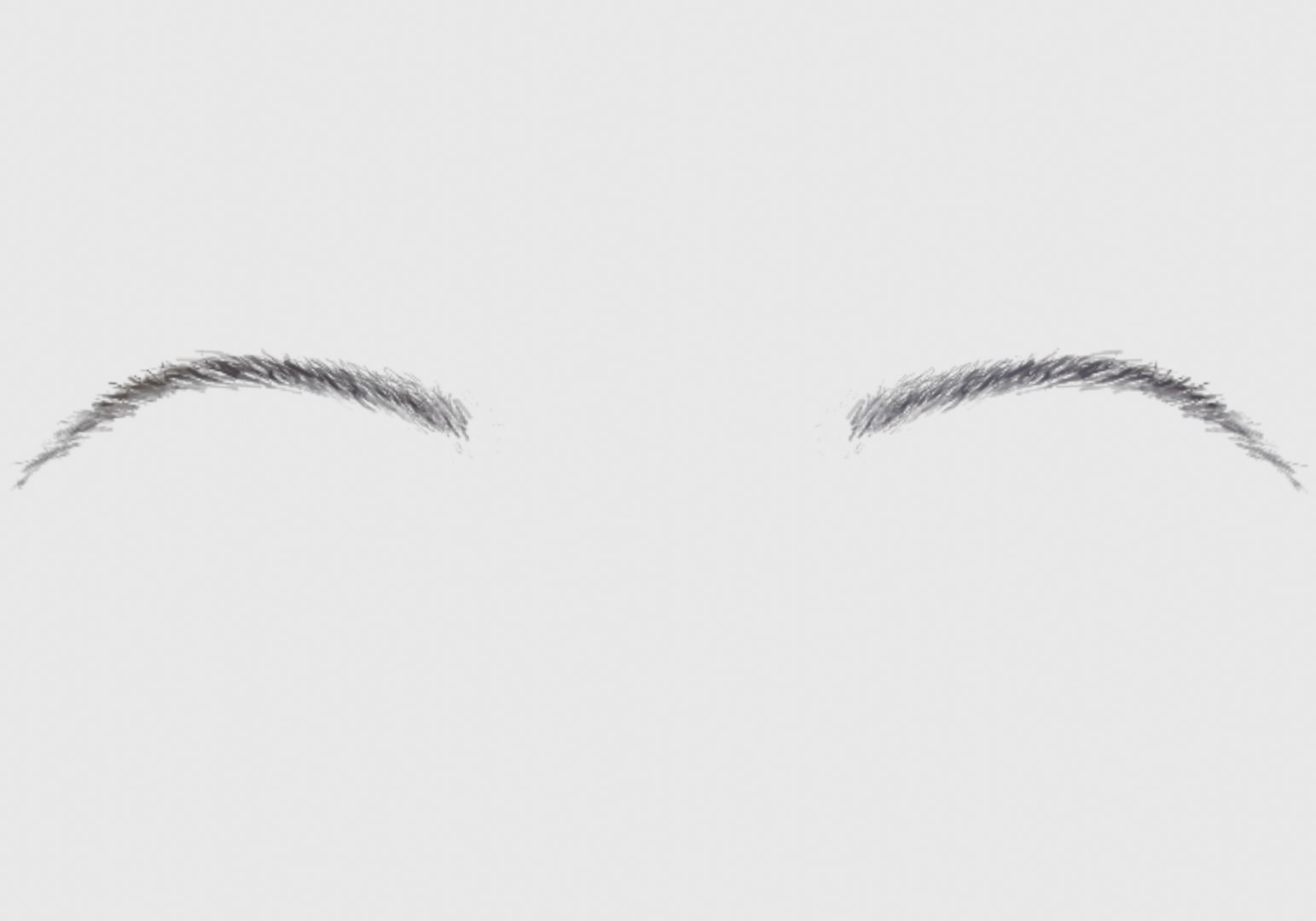 Dark Basic Eyebrow 3D Model - TurboSquid 1959337