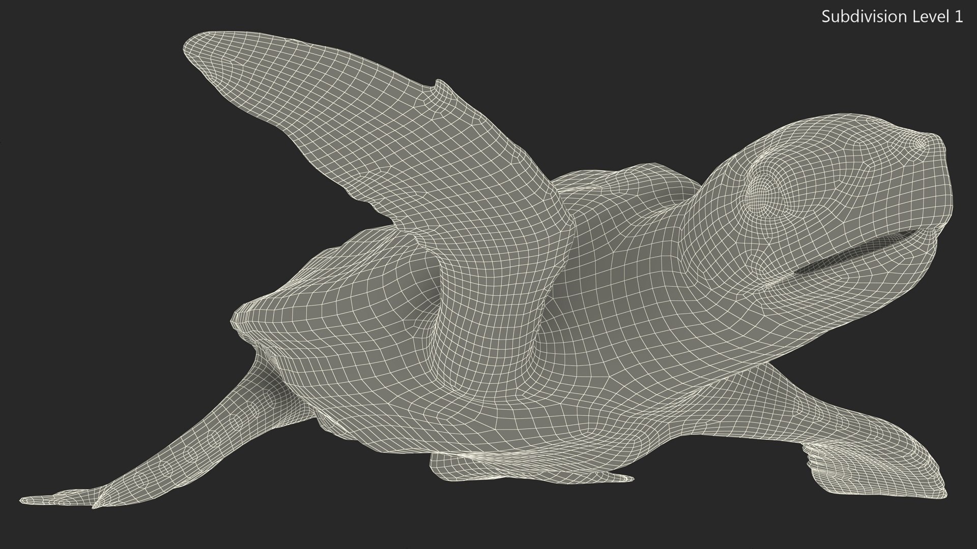 Baby Gray Sea Turtle Runs To The Sea 3D - TurboSquid 2201878