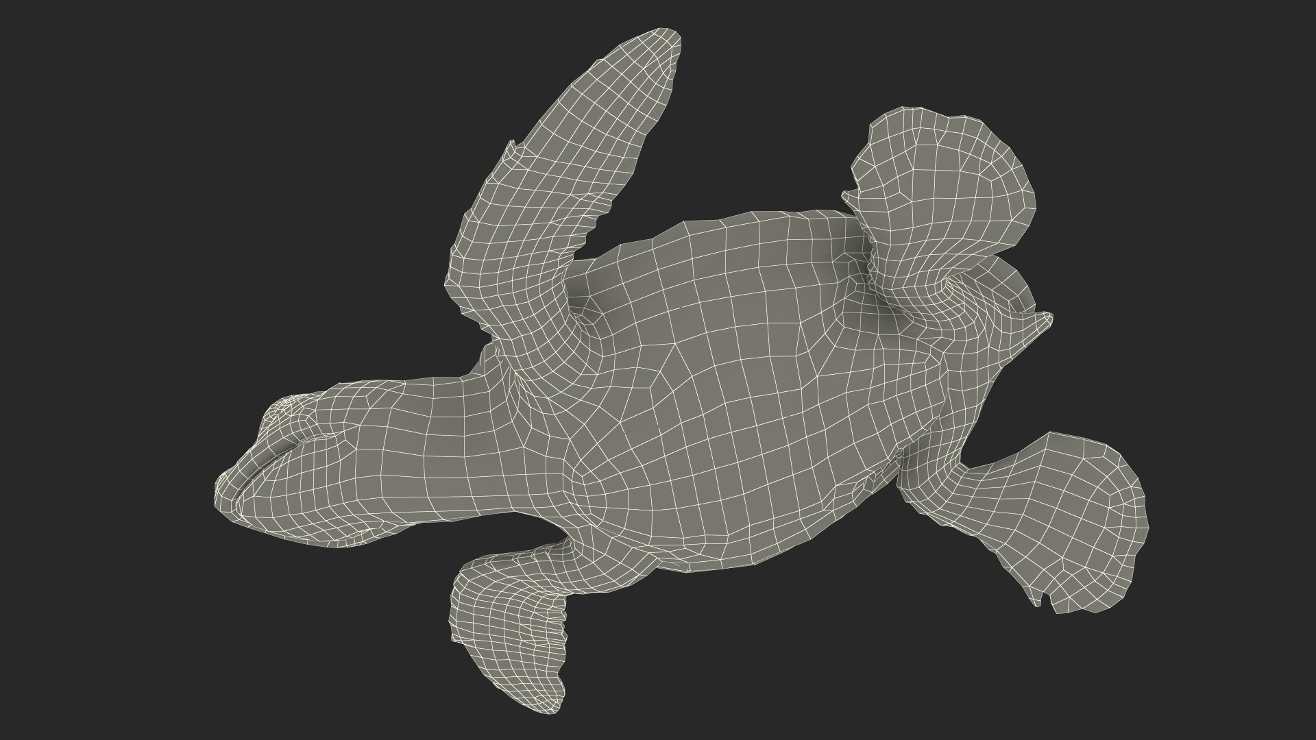 Baby Gray Sea Turtle Runs To The Sea 3D - TurboSquid 2201878