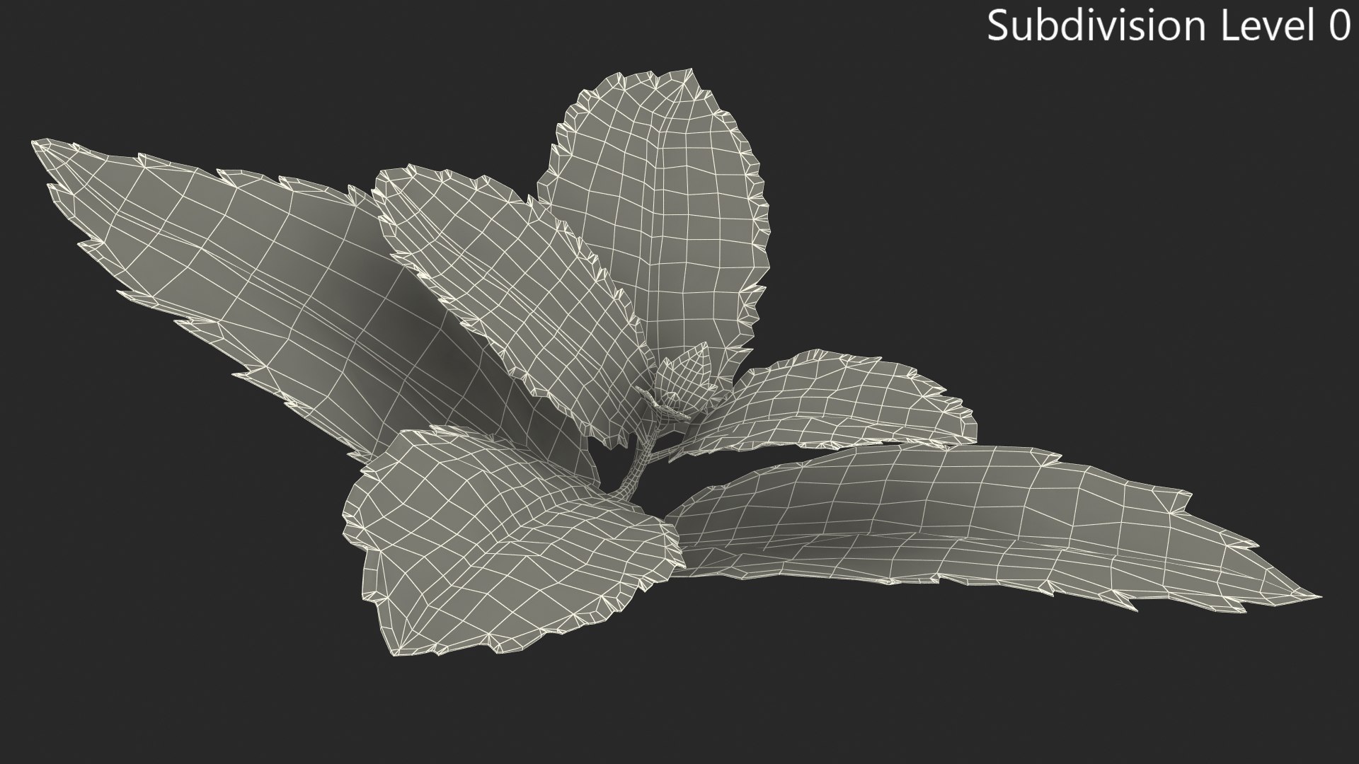 Fresh Mint Leaves 3D Model - TurboSquid 1545735