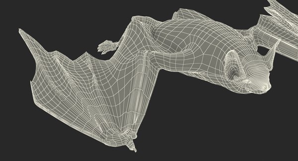 flying bat 2 fur 3d model