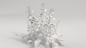 Plants Weed 3D Models for Download | TurboSquid