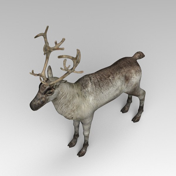 reindeer 3d 3ds