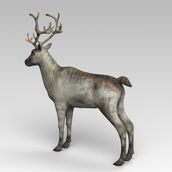 reindeer 3d 3ds