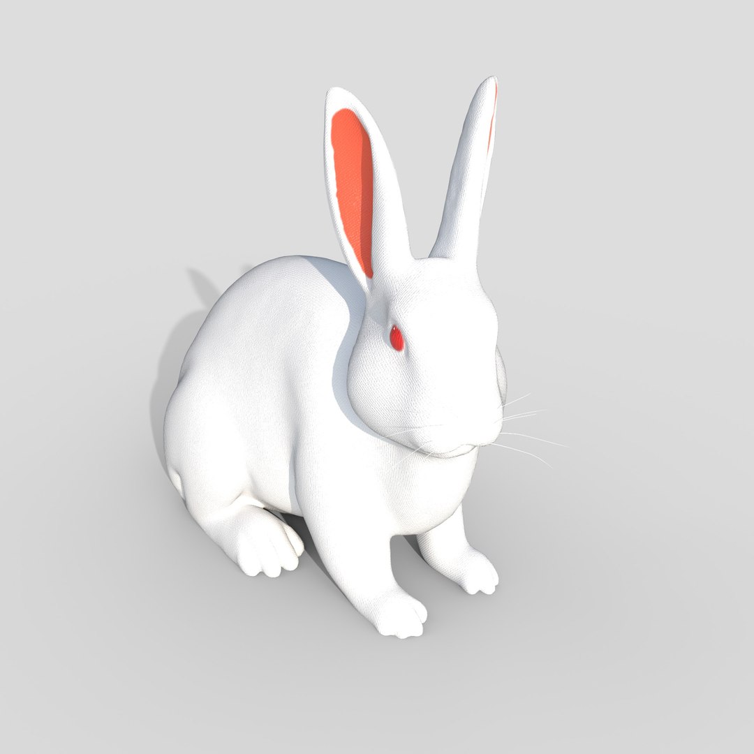 3D Rabbit - TurboSquid 2382300