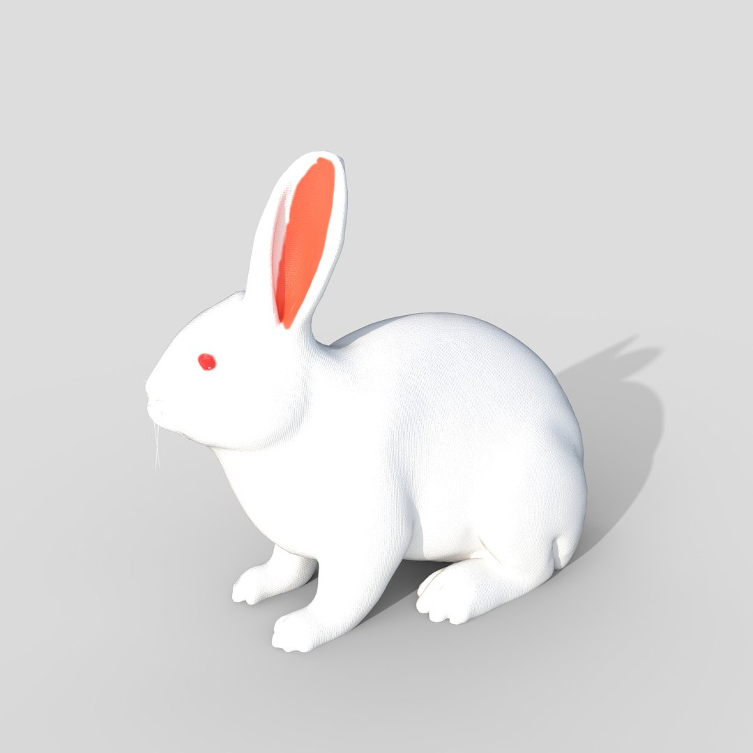 3D Rabbit - TurboSquid 2382300