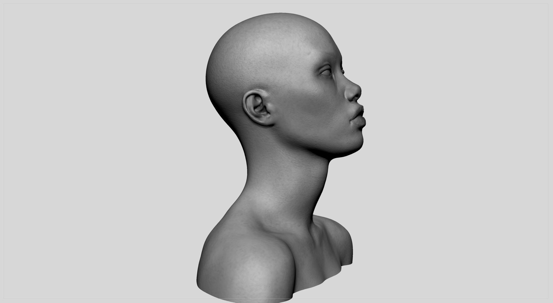 3D Model Asian Female Head Anatomy - TurboSquid 1701104