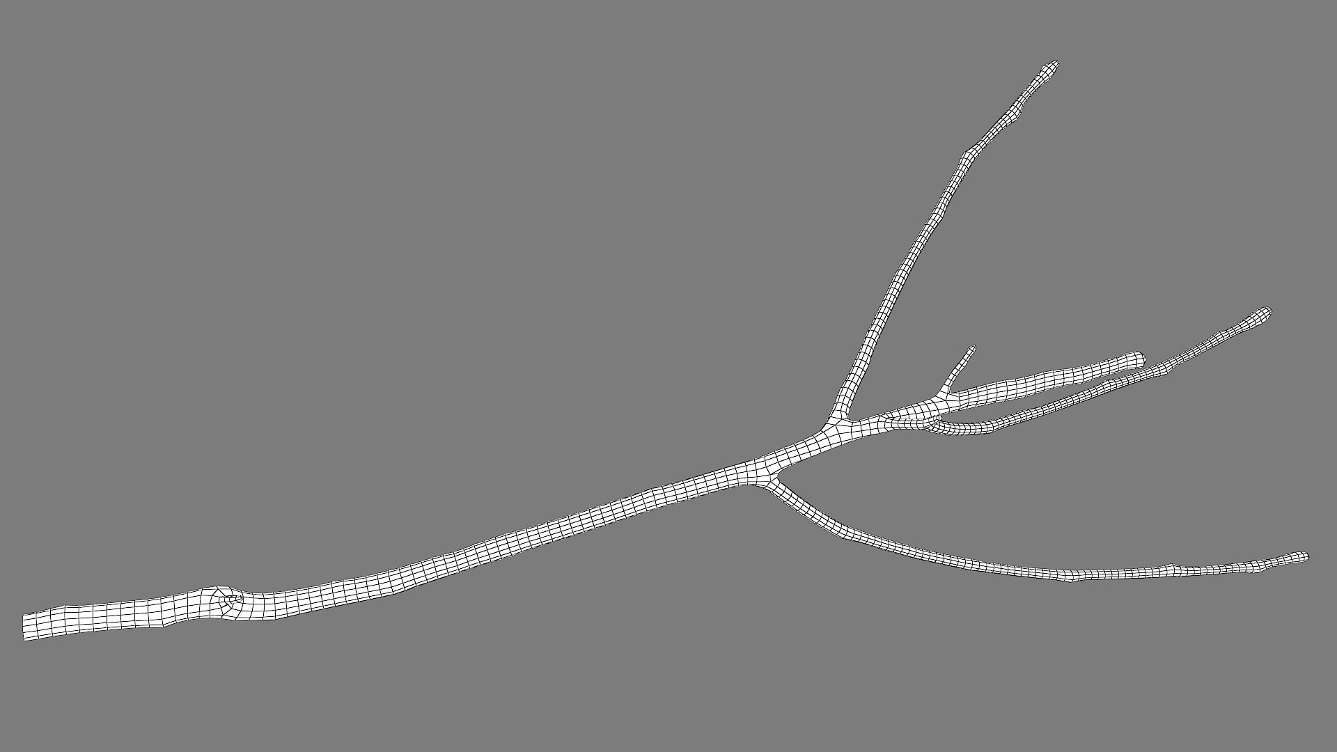 Twig Scanned 09 3D Model - TurboSquid 2088902