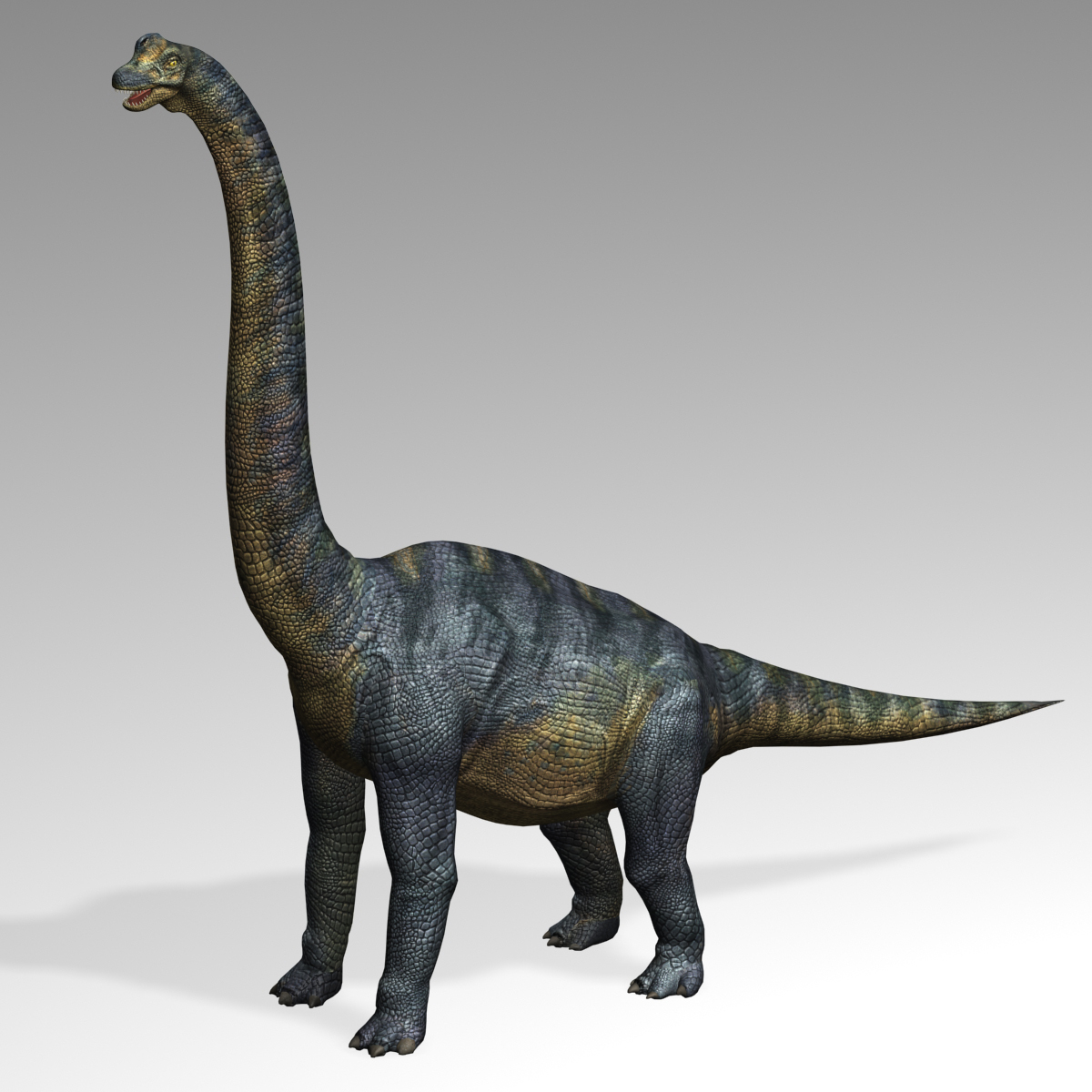 max brachiosaurus dinosaur animation