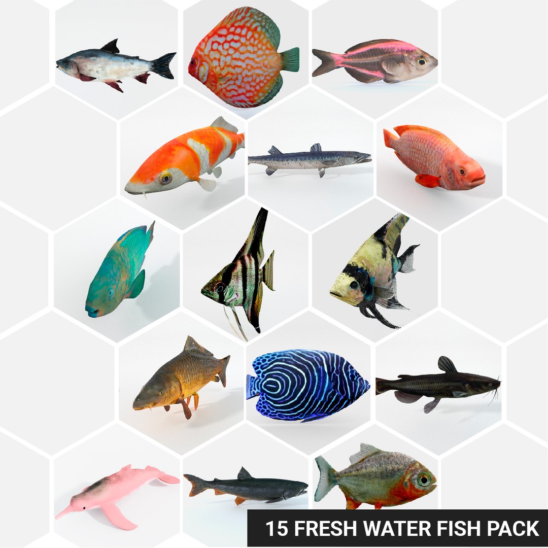 3D 15 Freshwater Fish Catfish Model - TurboSquid 1325585