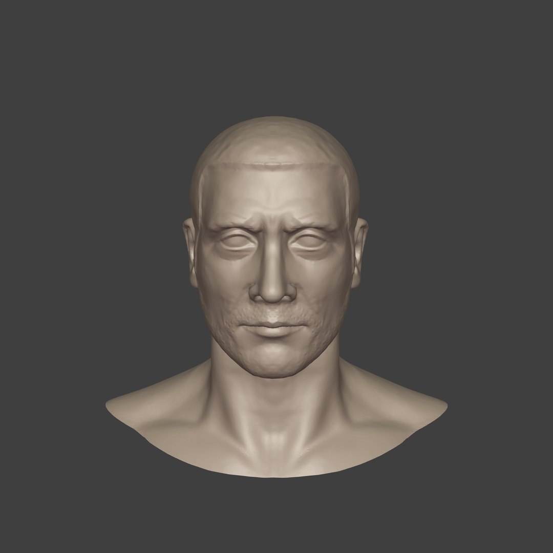 Caucasian Bust Model - TurboSquid 1906045