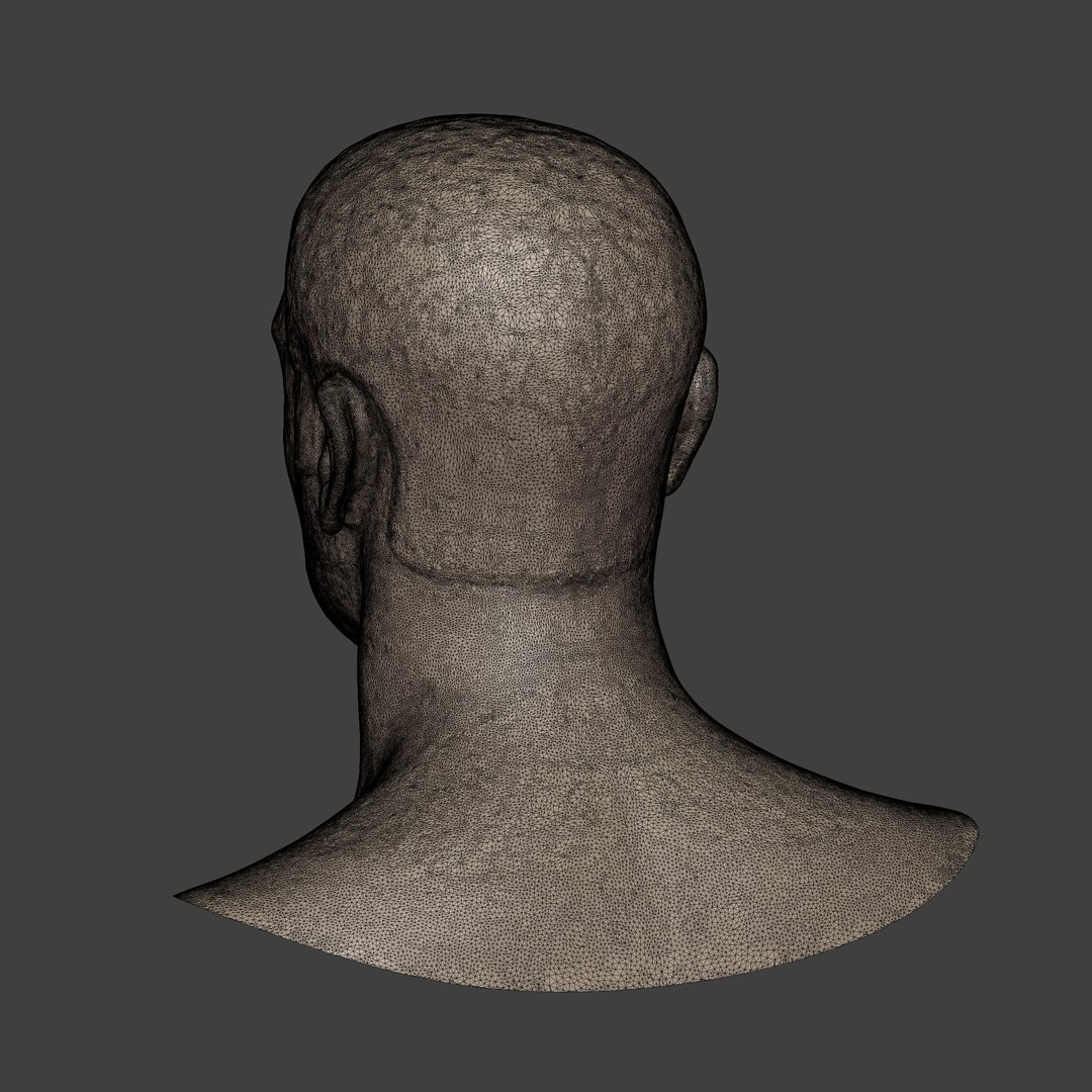Caucasian Bust Model - TurboSquid 1906045