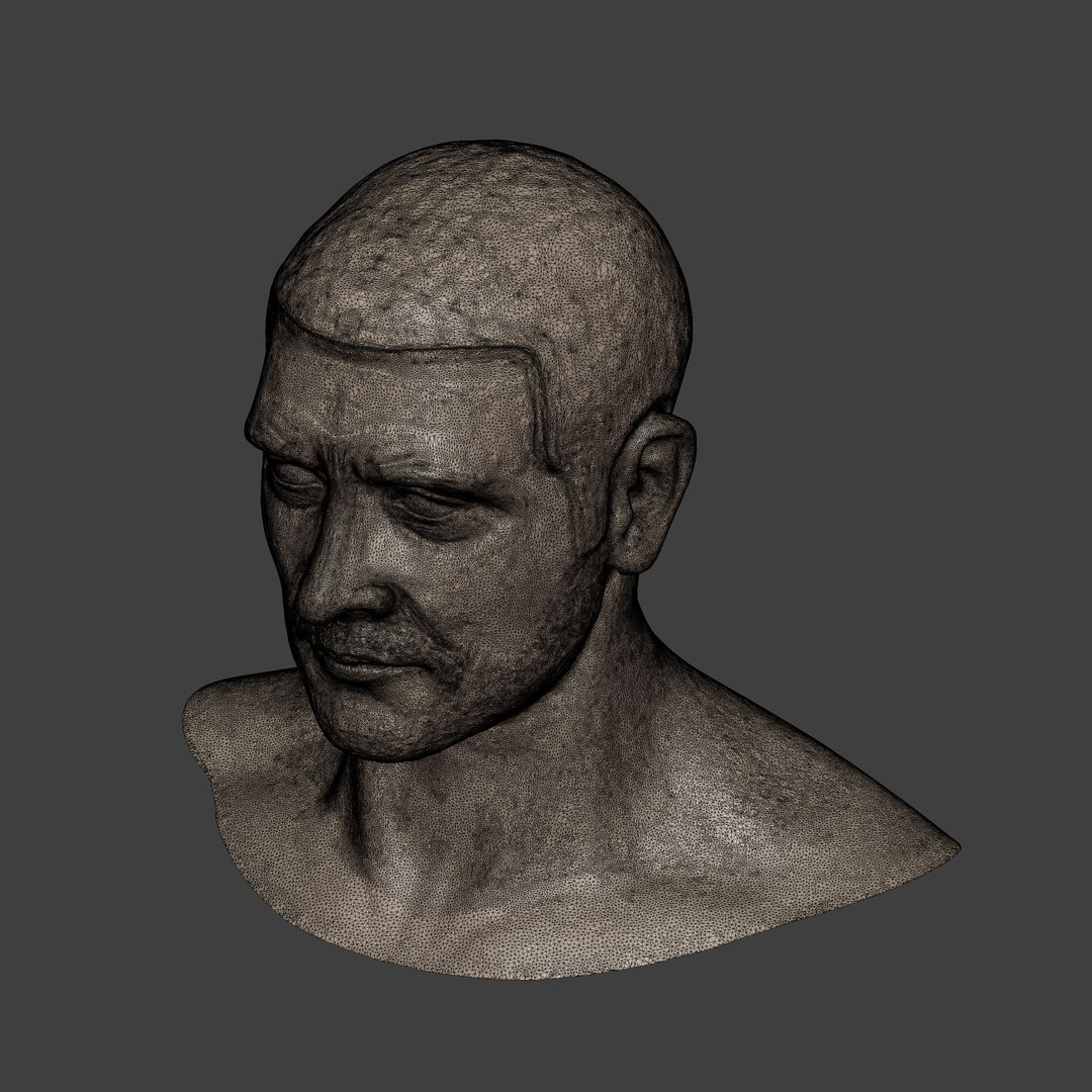 Caucasian Bust Model - TurboSquid 1906045