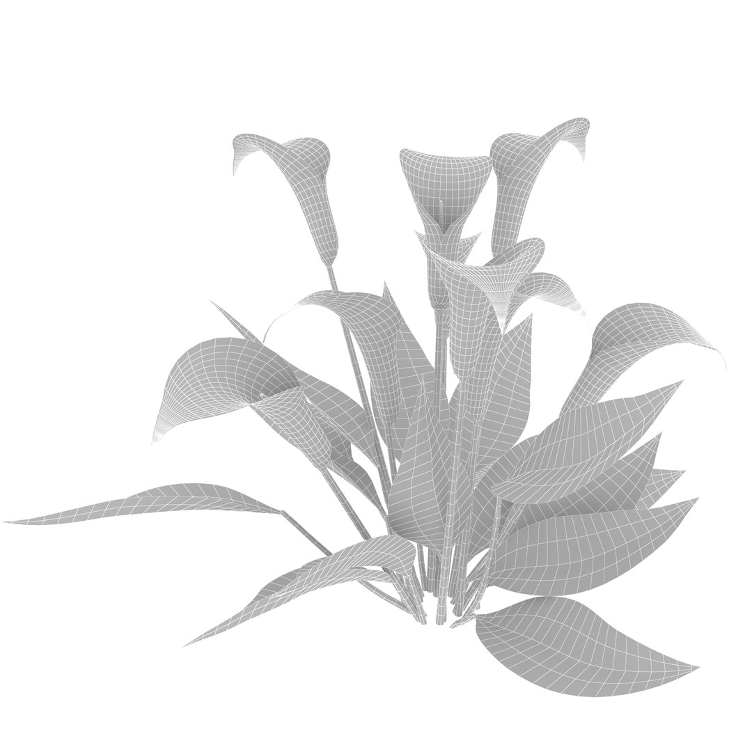3d model calla lily