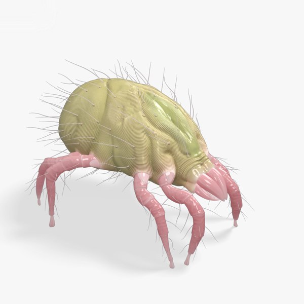 3D dust mite model - TurboSquid 1550870