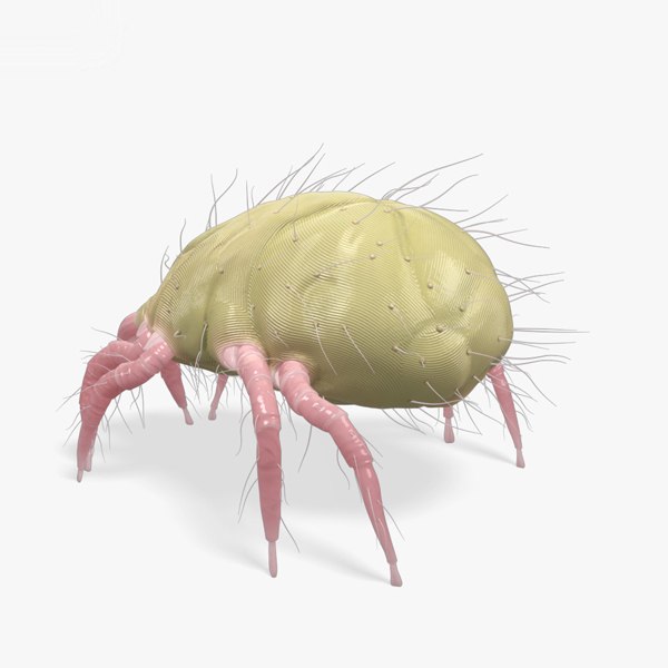 3D dust mite model - TurboSquid 1550870