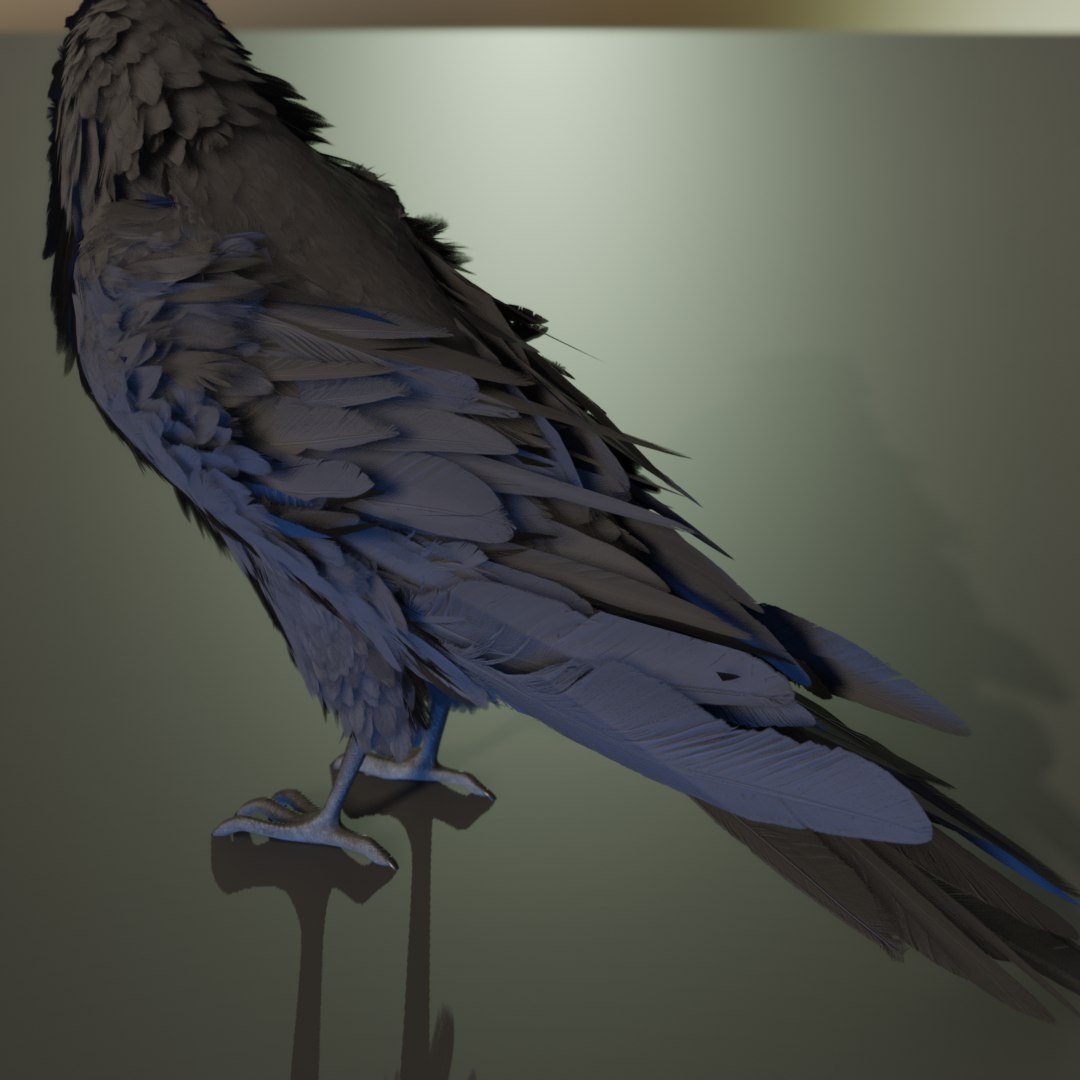 The Raven Character With Animations For Unreal Engine Model ...