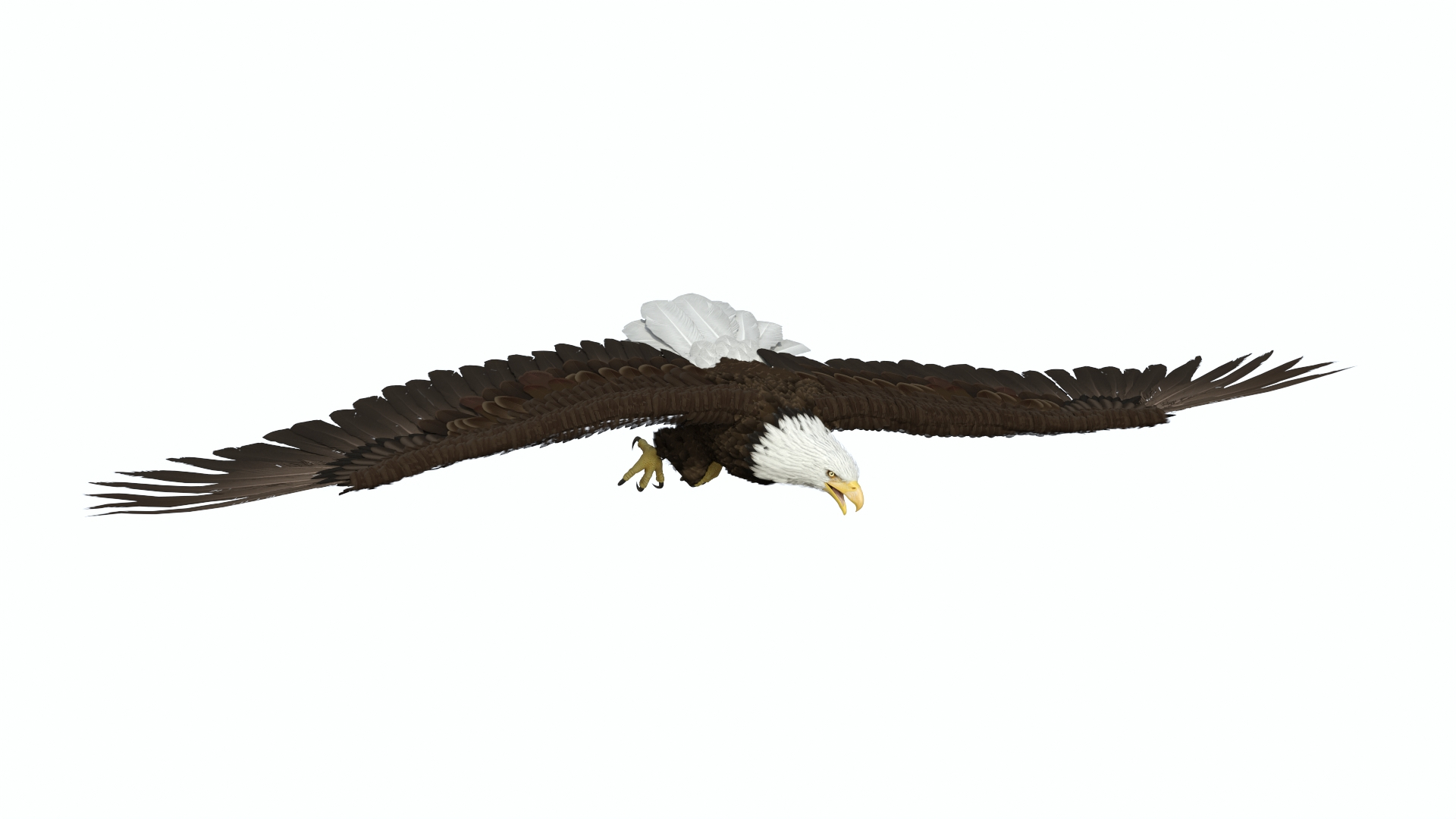 Flying Bald Eagle 3D - TurboSquid 2261416