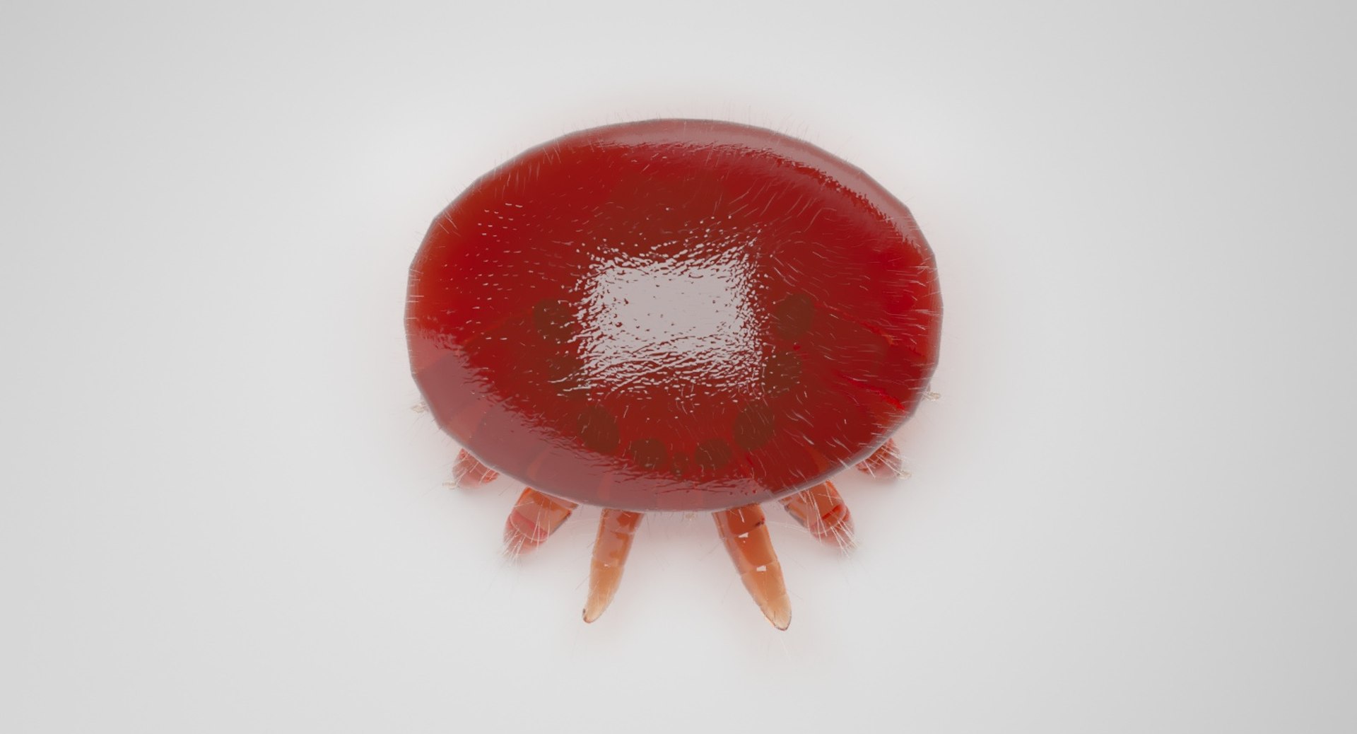 3D Varroa Destructor - TurboSquid 1317391