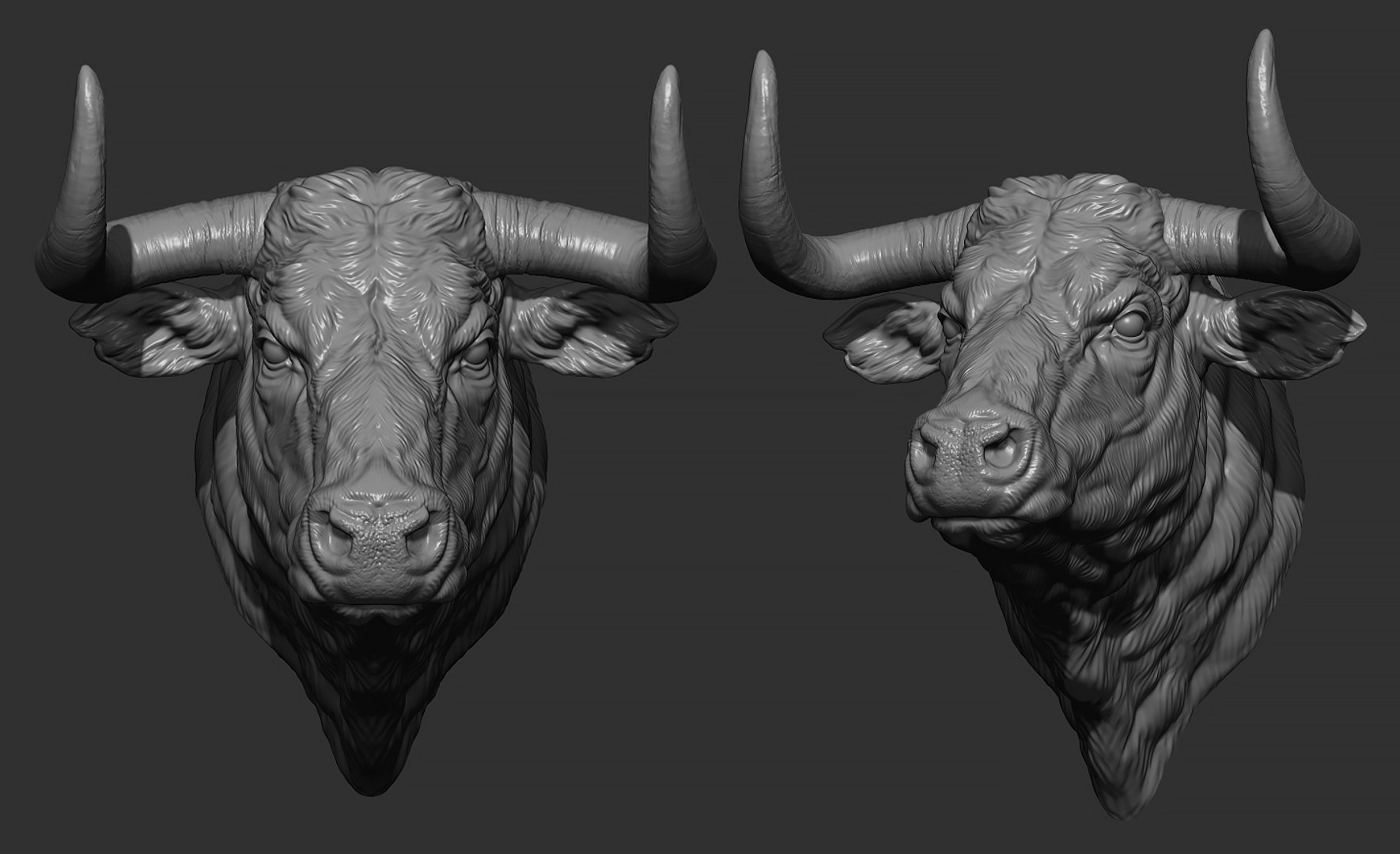 Bull Head 3D - TurboSquid 1808625