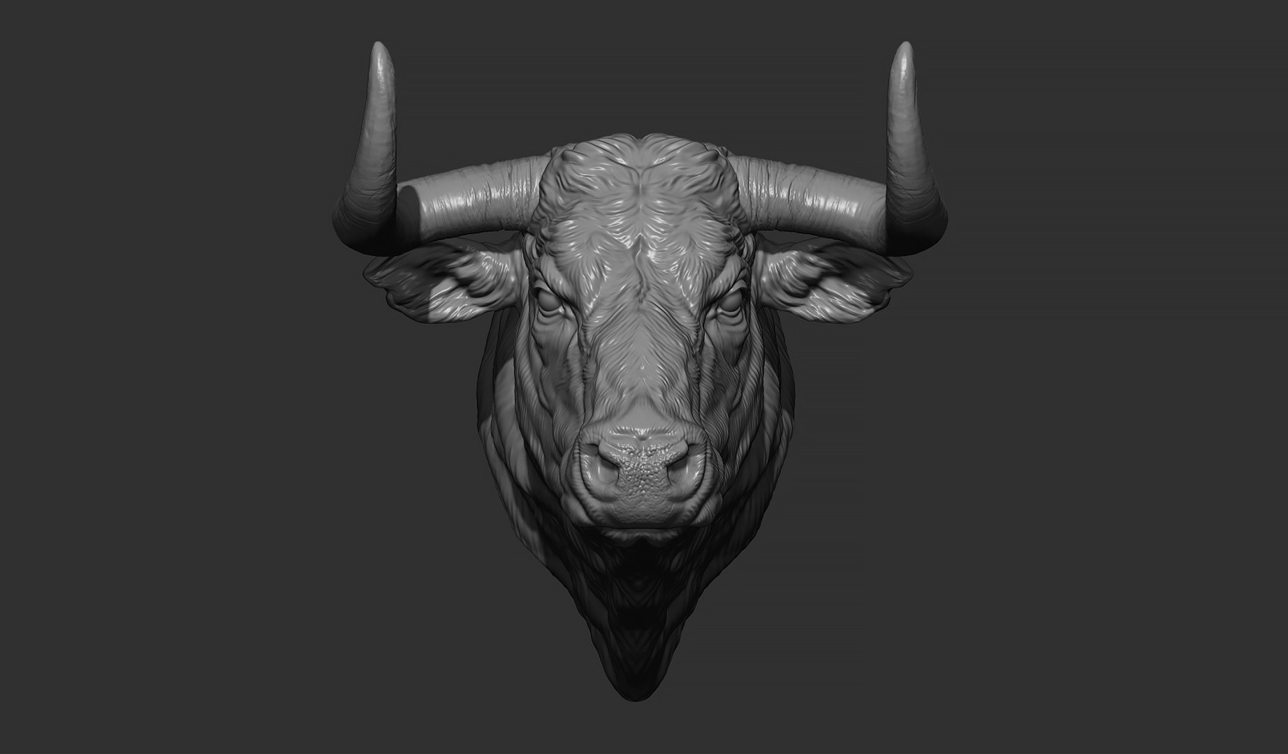 Bull Head 3D - TurboSquid 1808625
