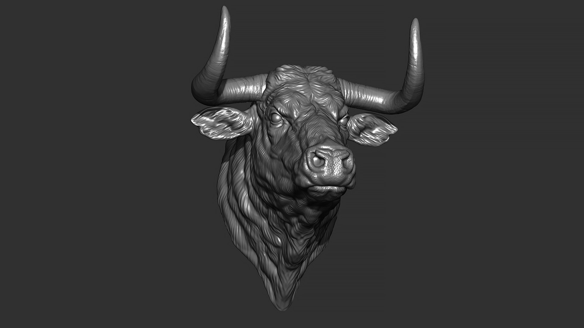 Bull Head 3D - TurboSquid 1808625