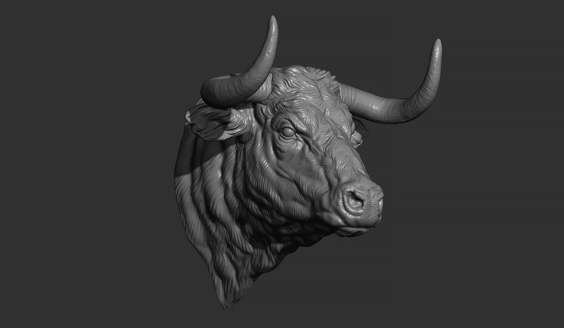 Bull Head 3D - TurboSquid 1808625
