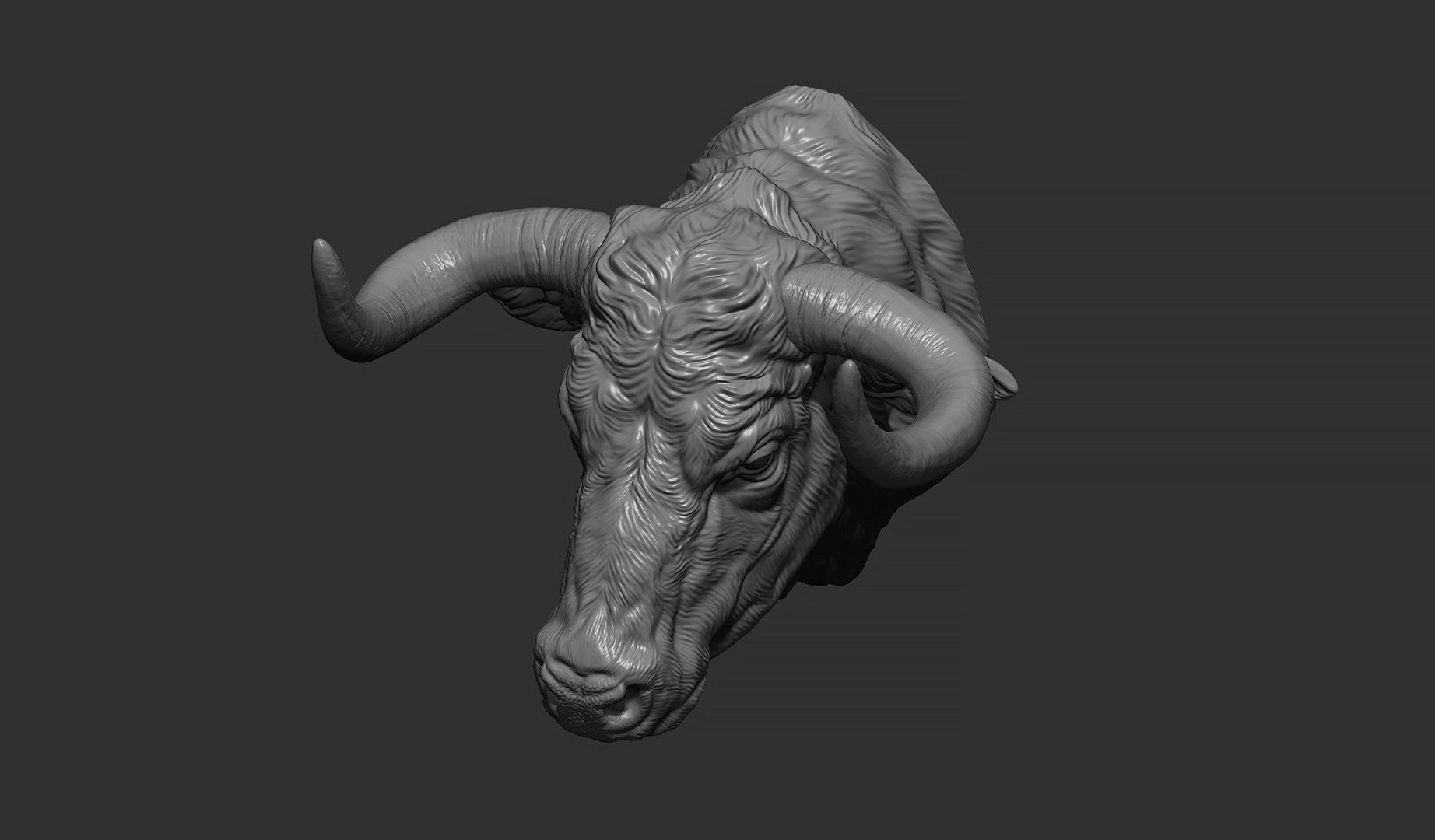 Bull Head 3D - TurboSquid 1808625