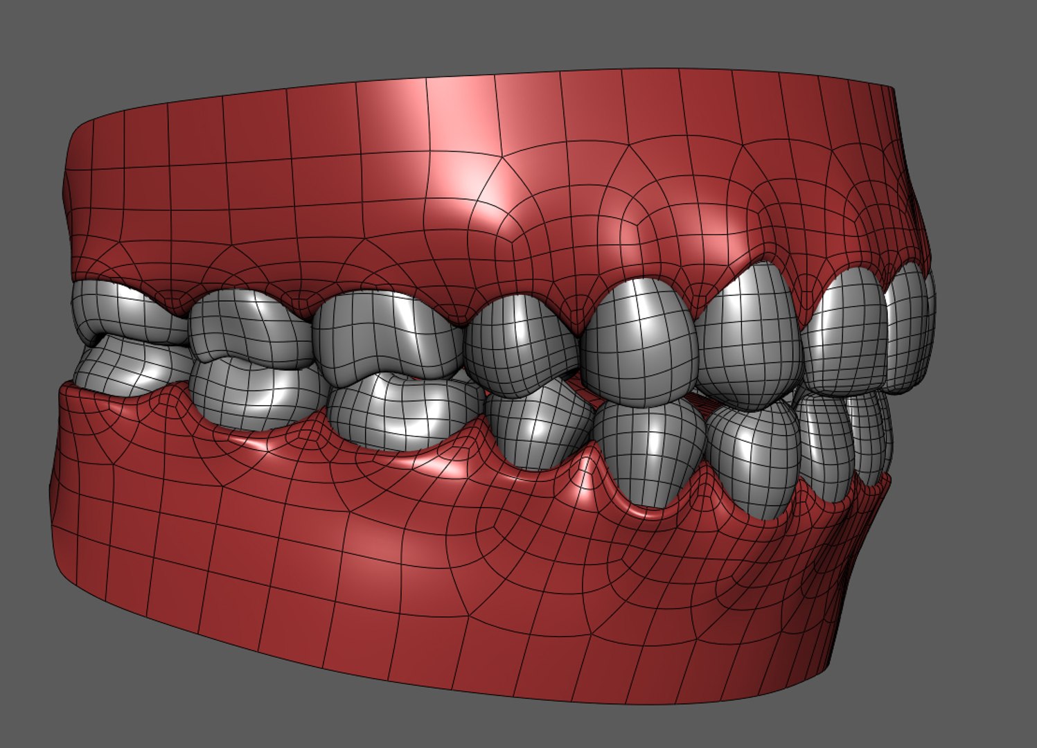 Cartoon Teeth 3d Model